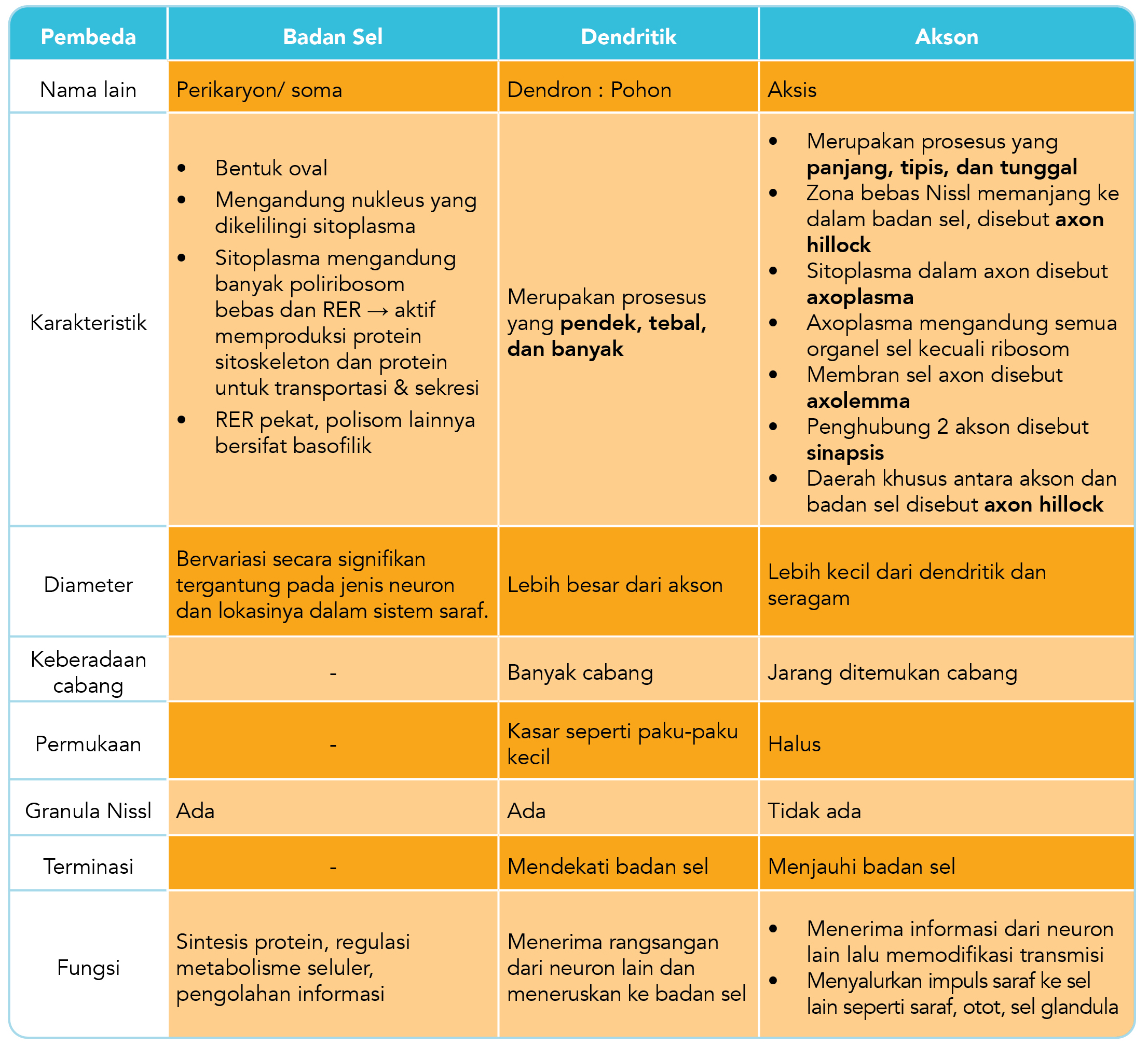 Histologi Sistem Nervosum