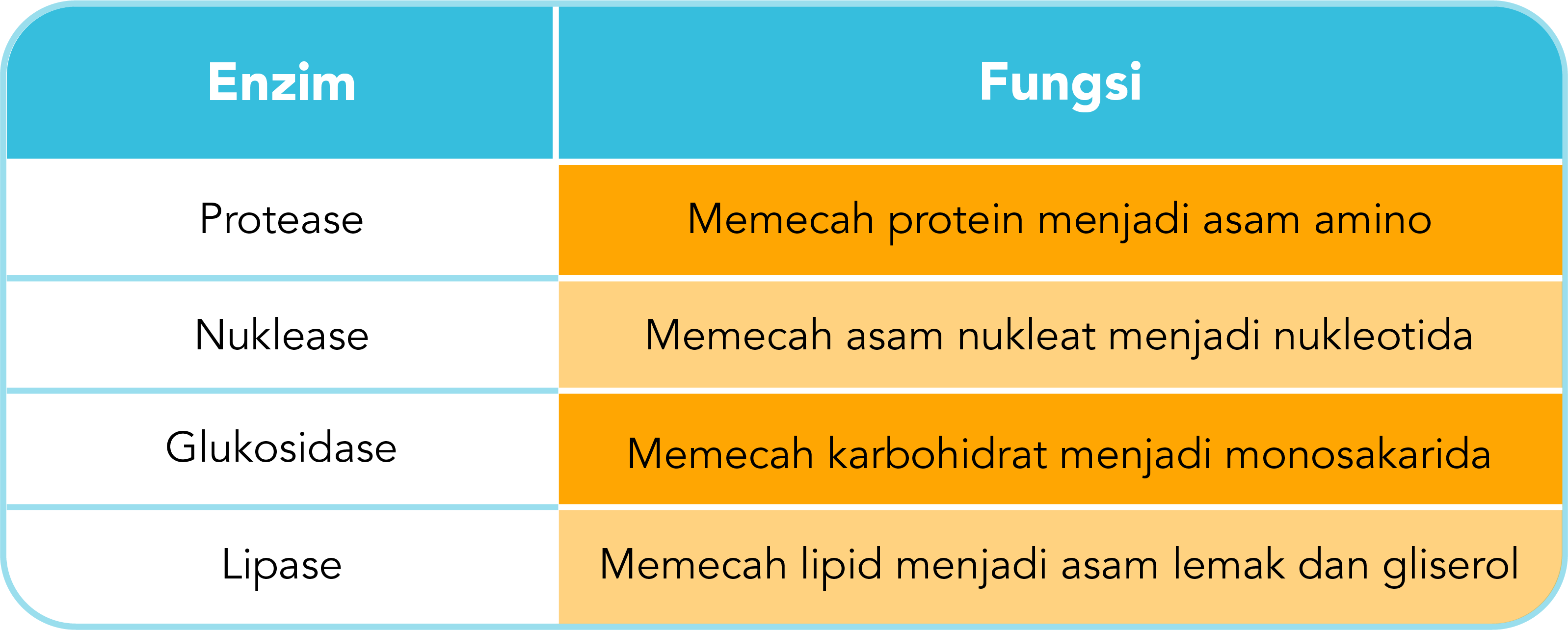 Biokimia transduksi sinyal dan neurotransmitter