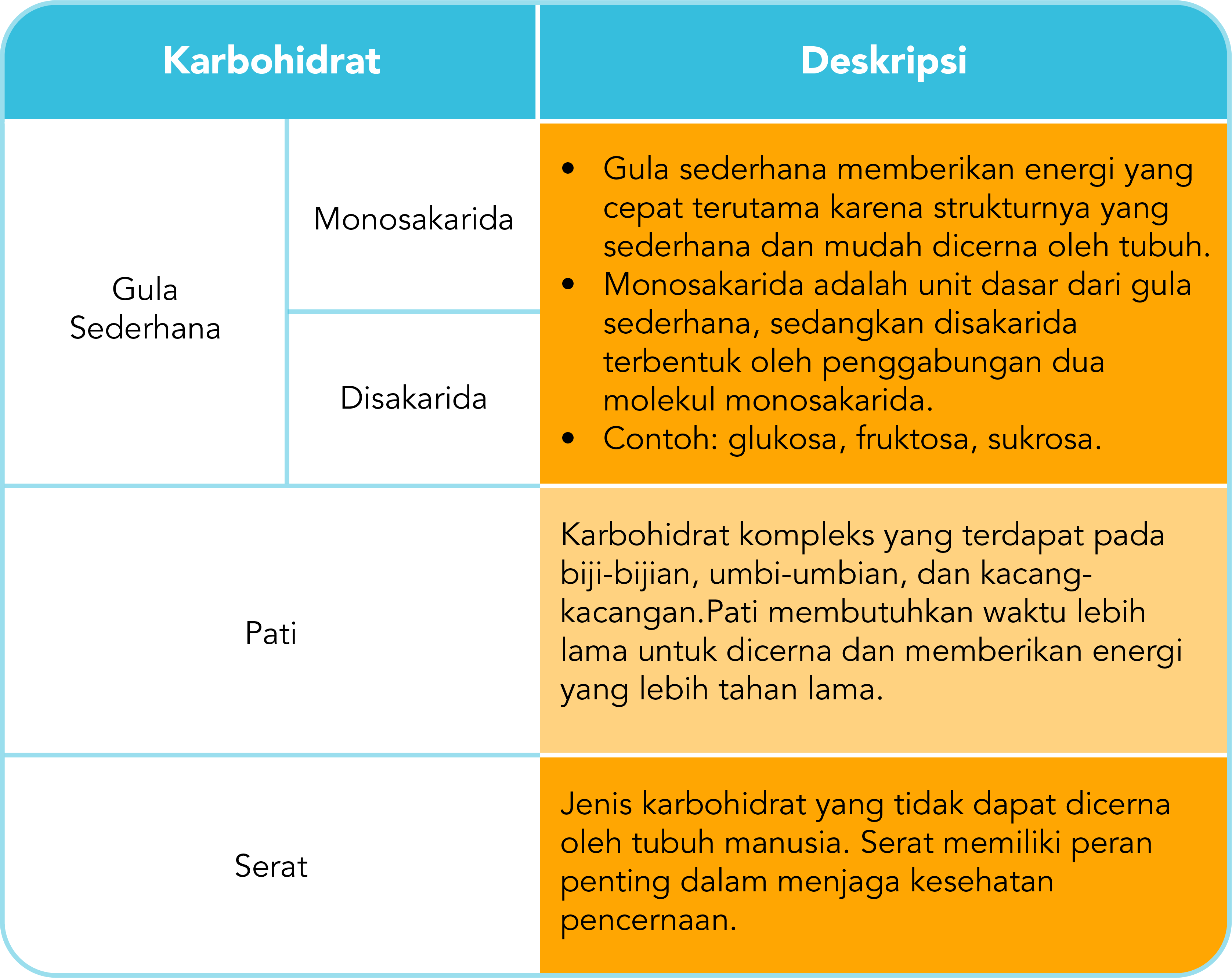 Metabolisme Karbohidrat