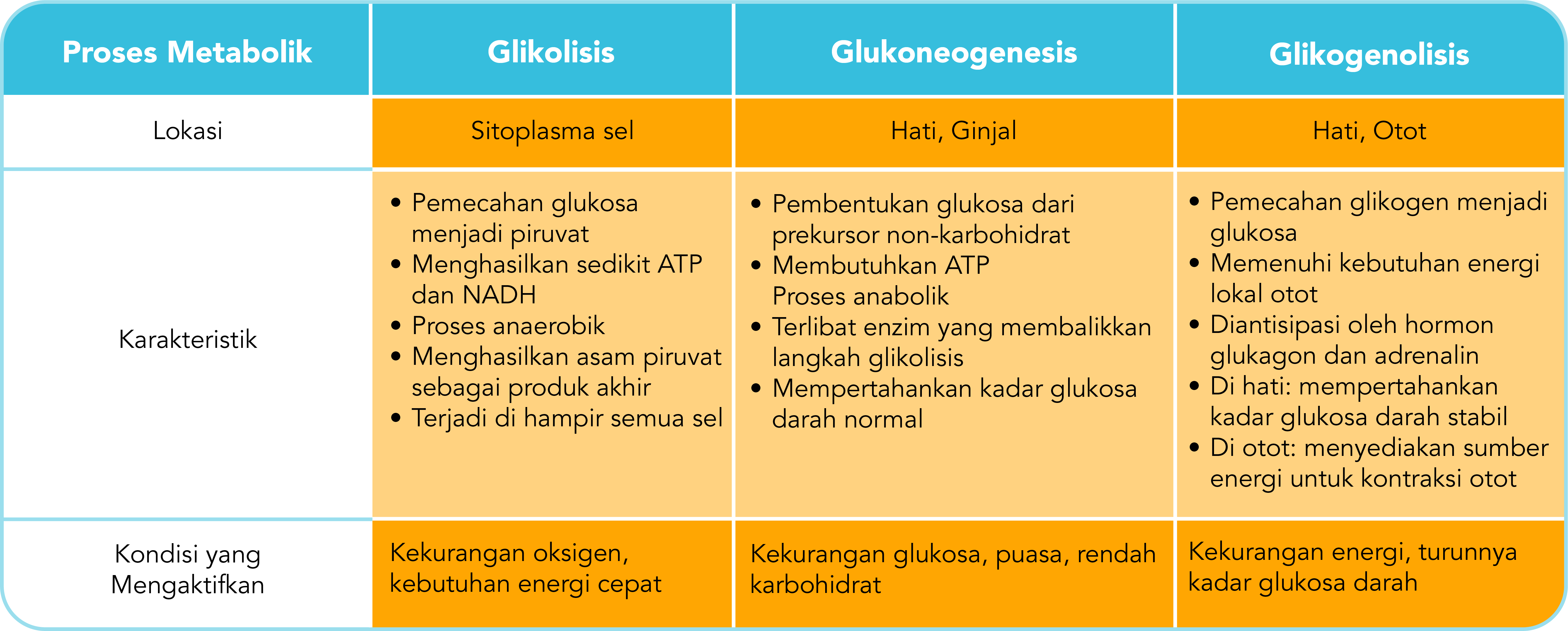 Metabolisme Karbohidrat