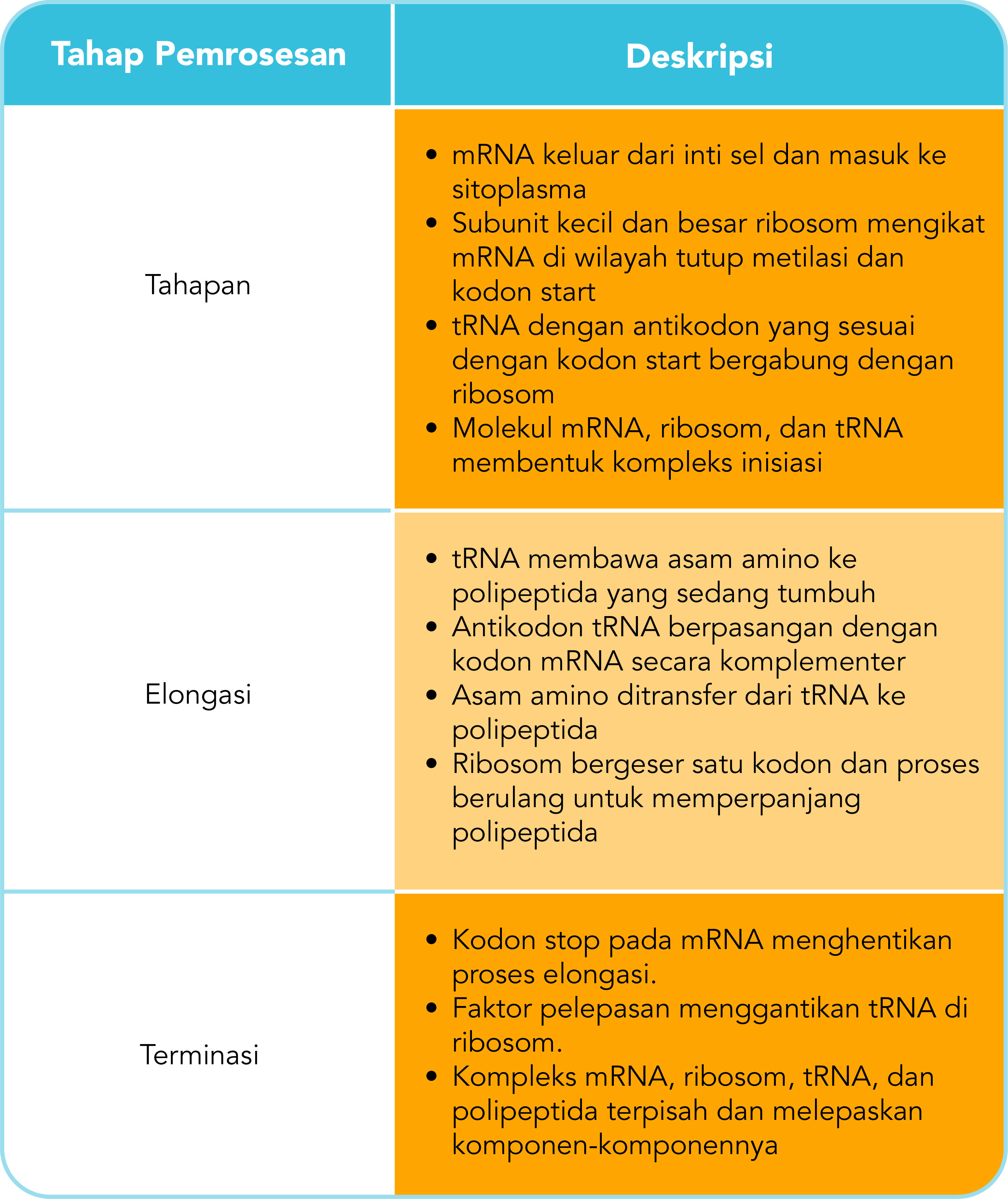 Metabolisme Protein