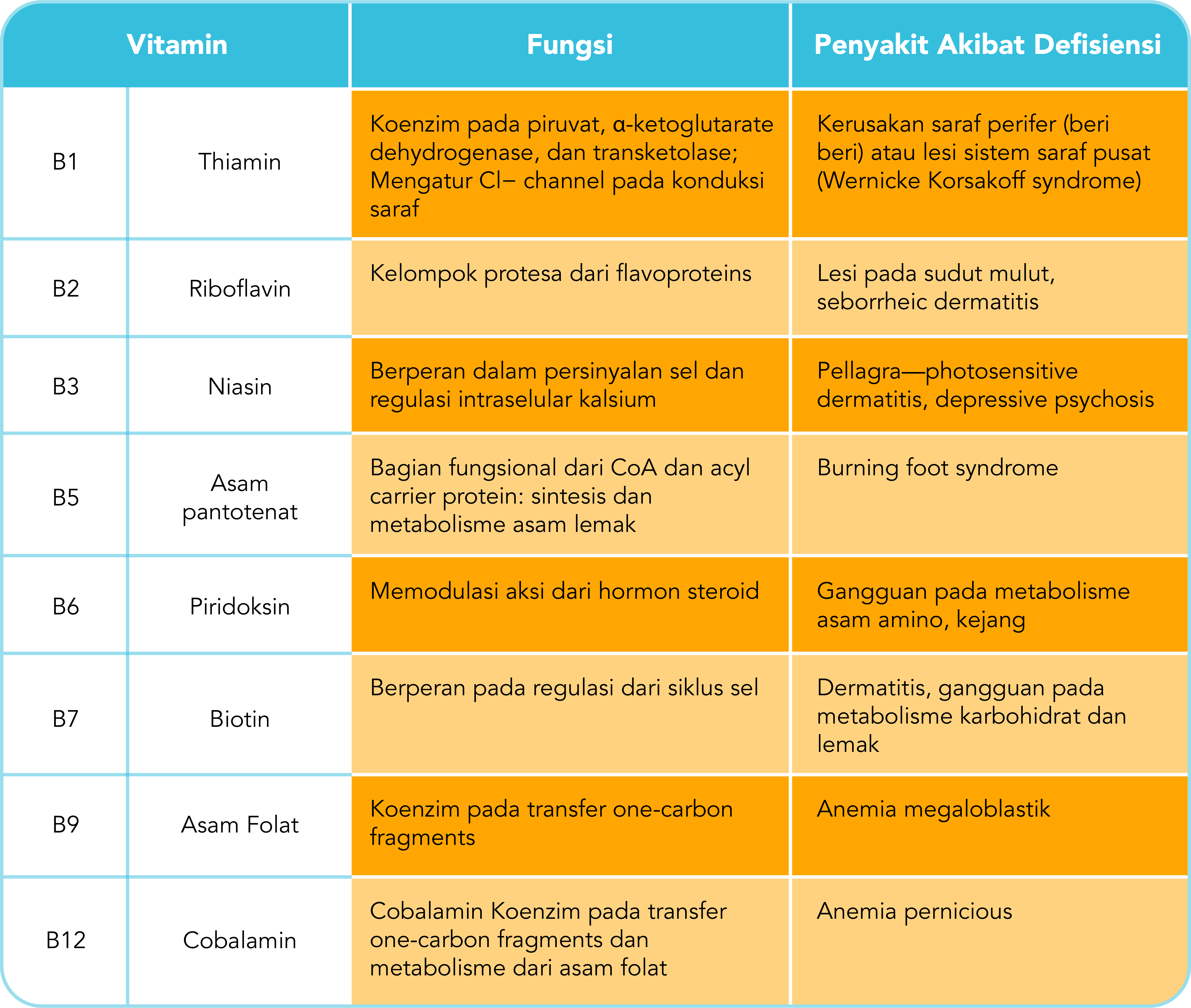 Metabolisme Vitamin