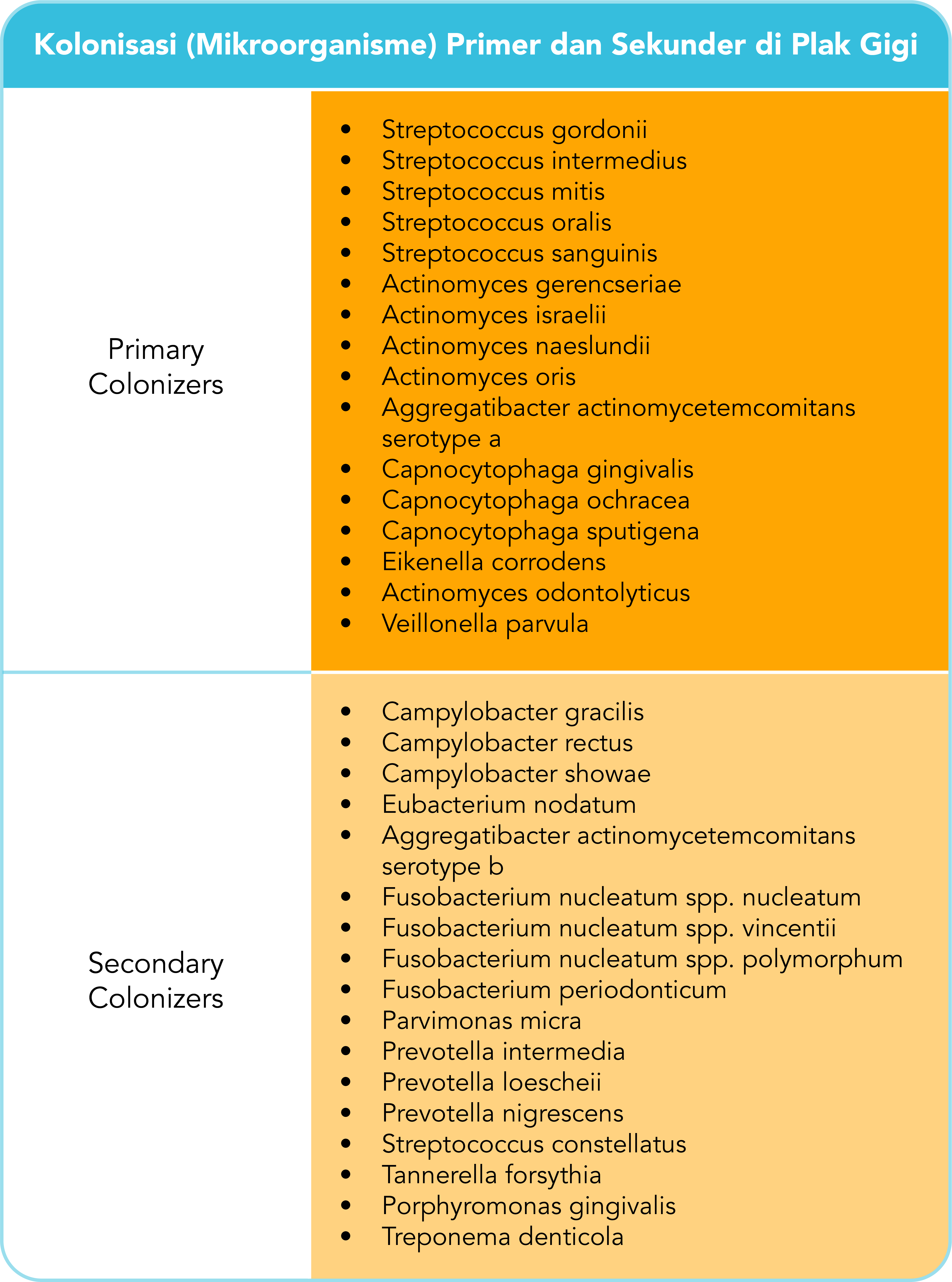 Pembentukan Biofilm, Plak Dan Kalkukus