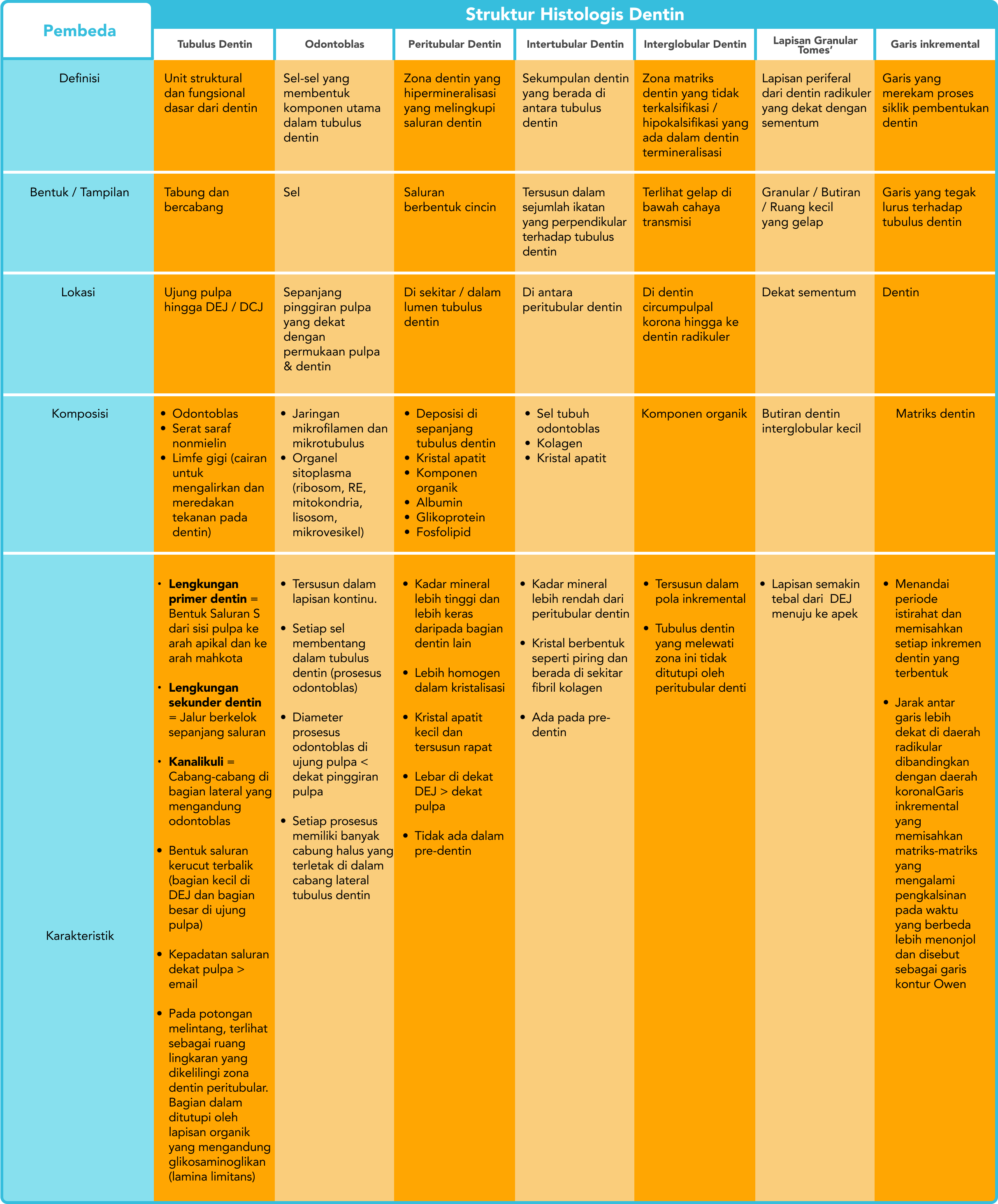Biologi Jaringan Gigi: Dentin