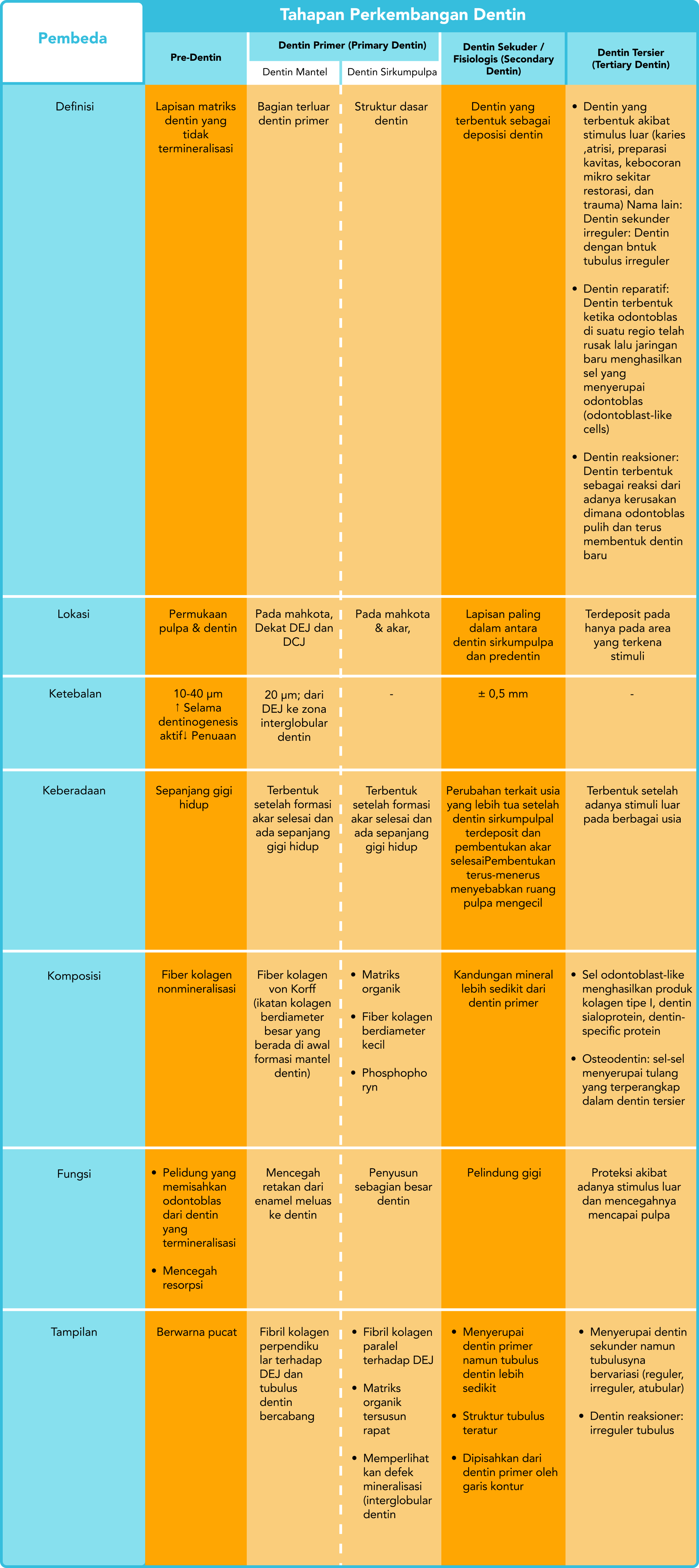 Biologi Jaringan Gigi: Dentin