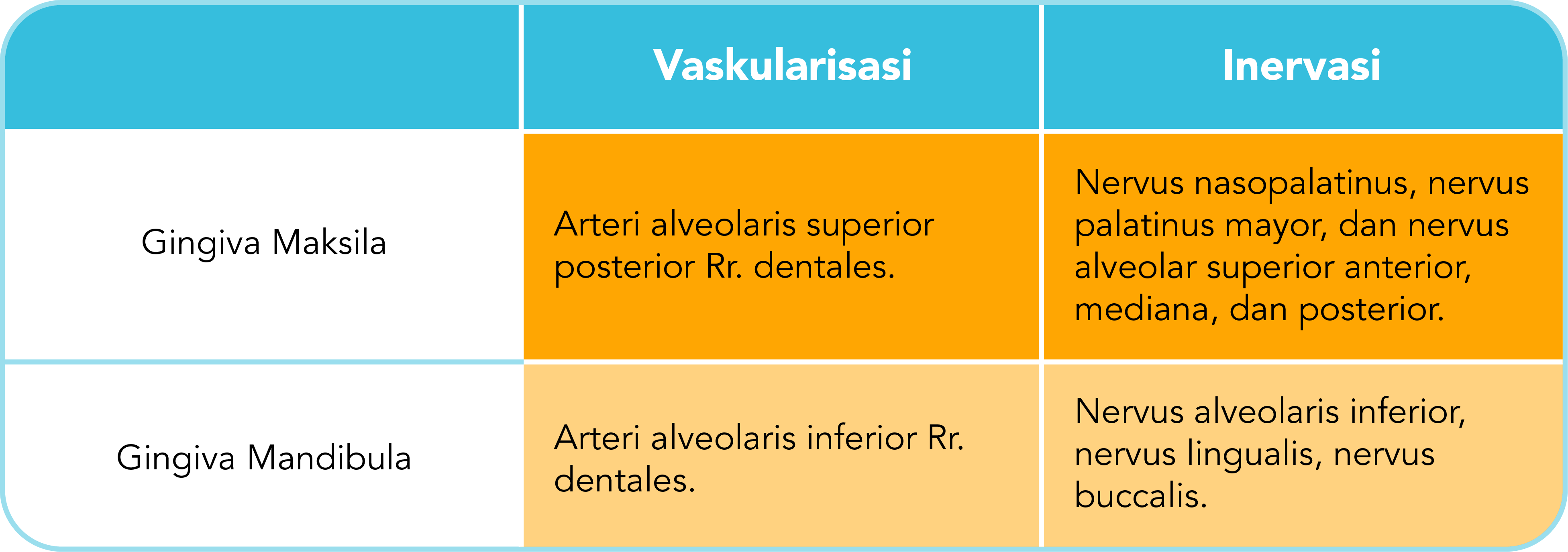 Aspek Histologis Dan Biokimiawi Gingiva