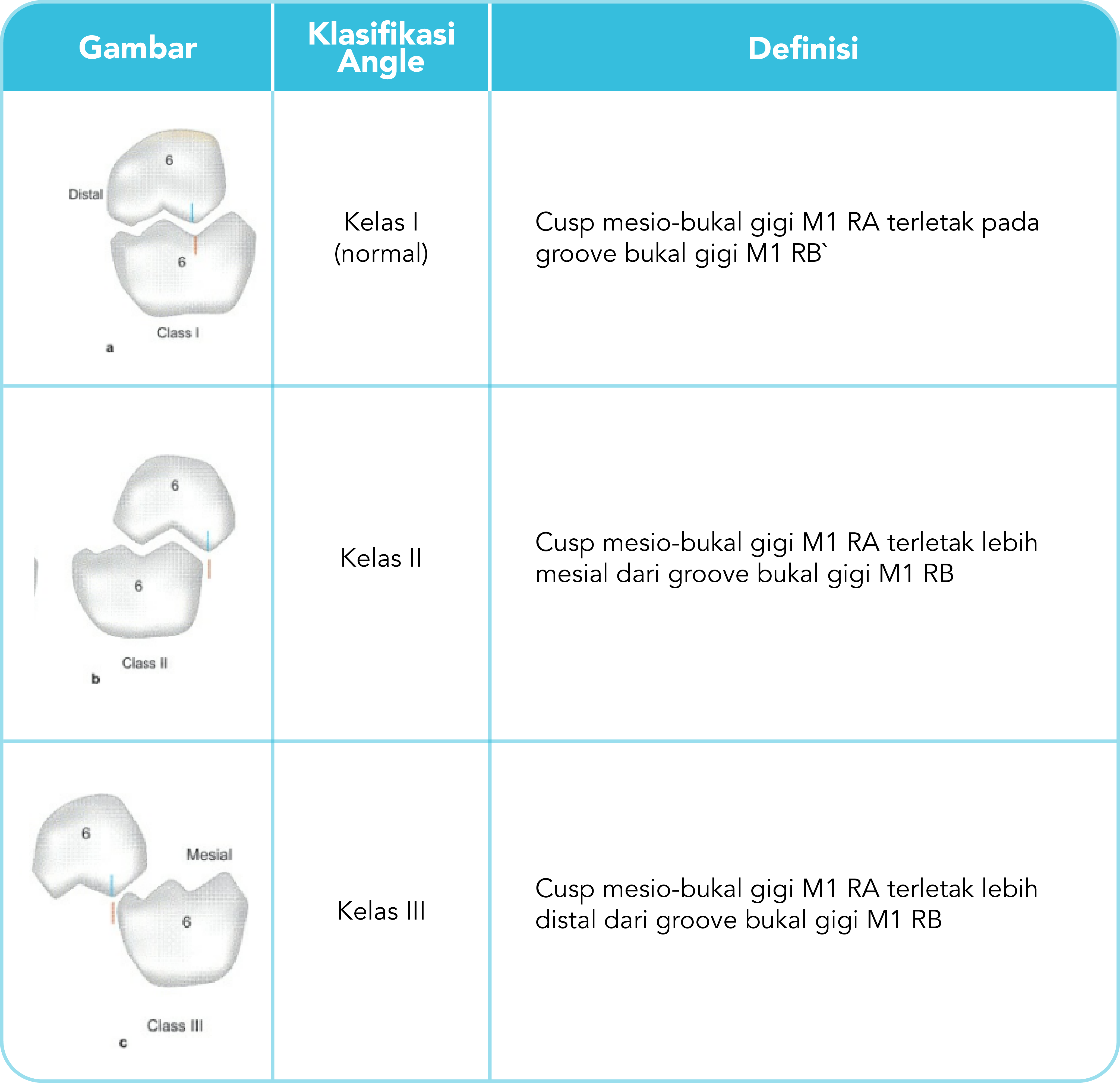 Relasi dan oklusi gigi