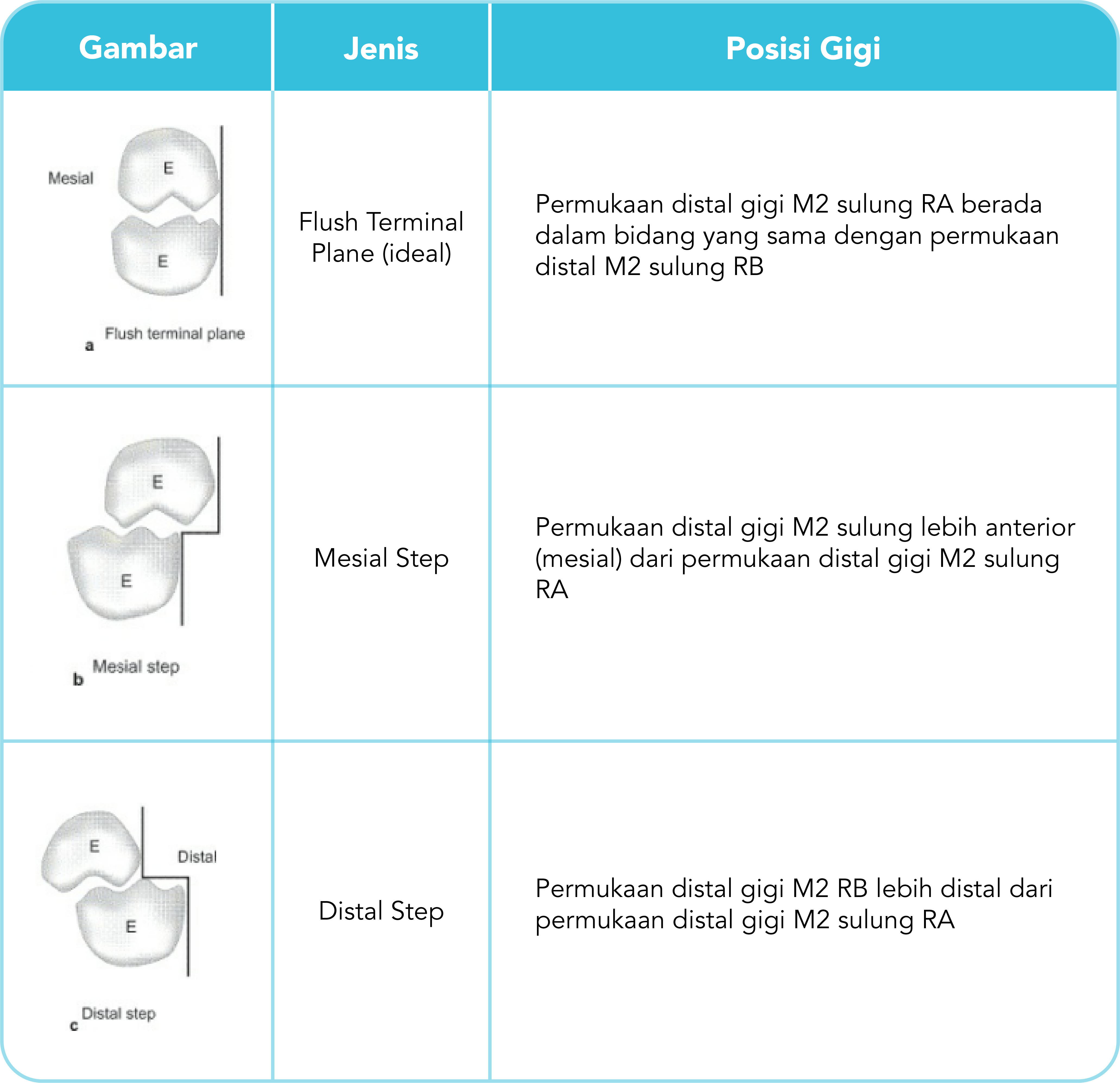 Relasi dan oklusi gigi
