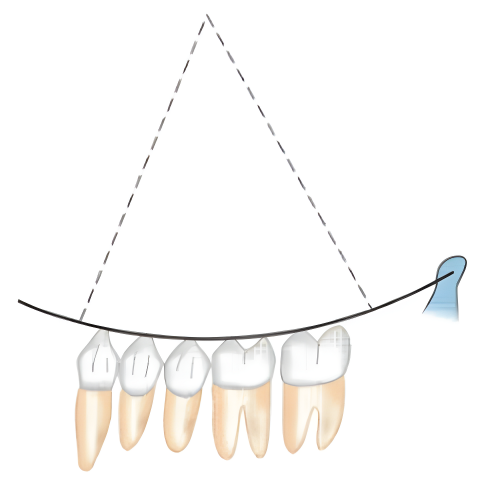 Relasi dan oklusi gigi