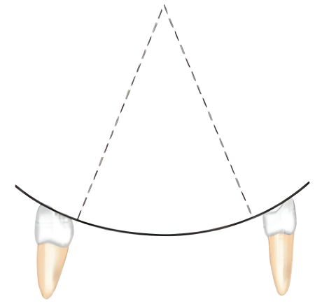 Relasi dan oklusi gigi