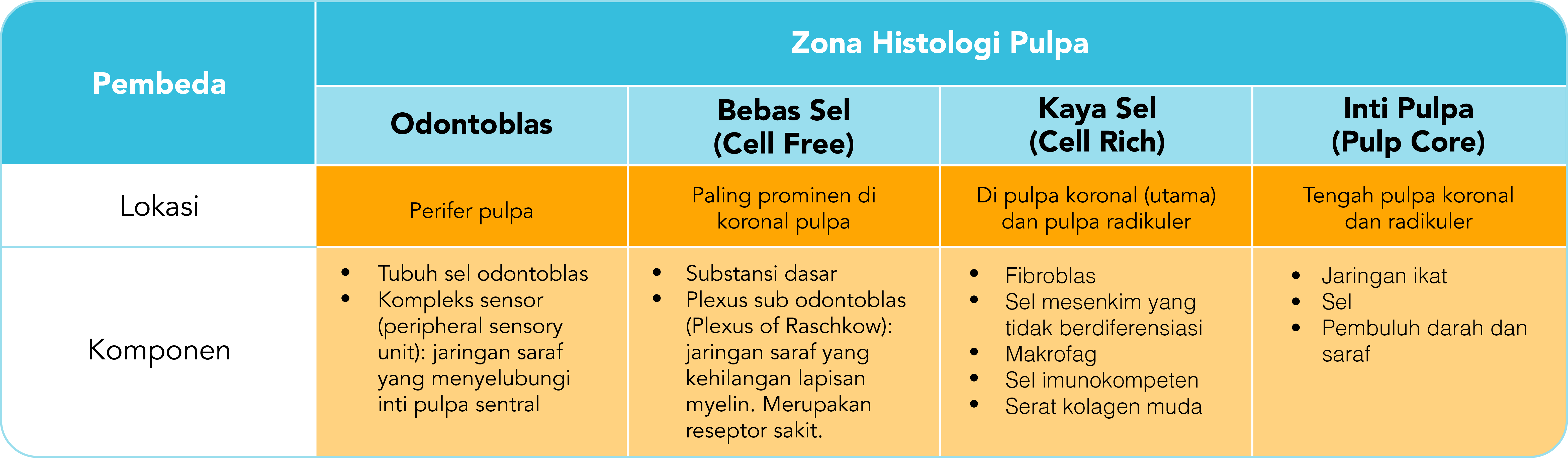 Biologi Jaringan Gigi: Pulpa