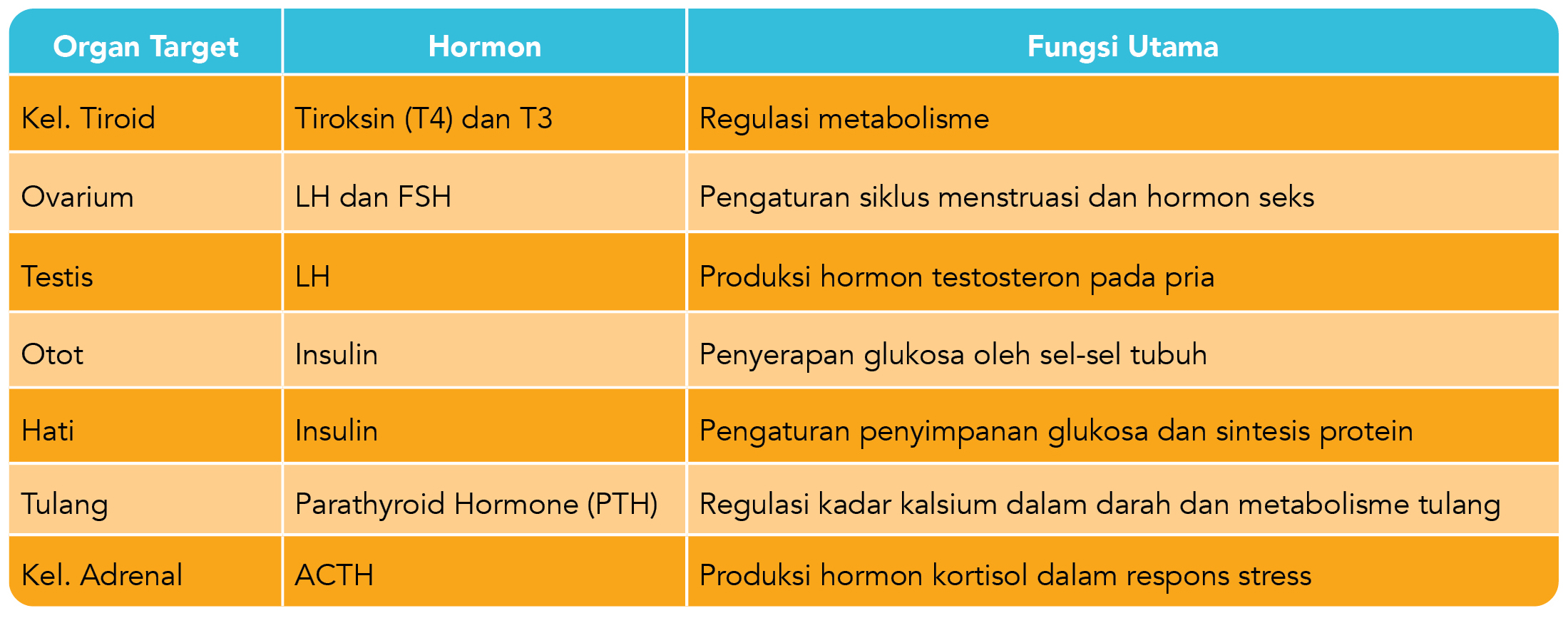 Fisiologi sistem glandula endocrina