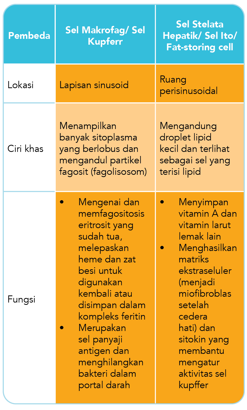 Histologi Sistem Digestivus