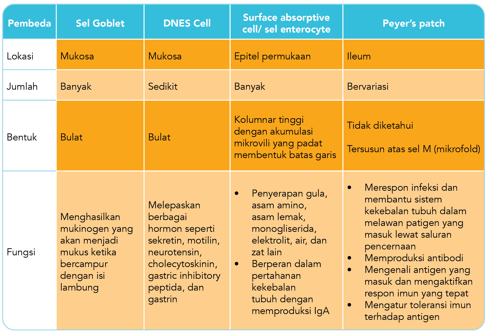 Histologi Sistem Digestivus