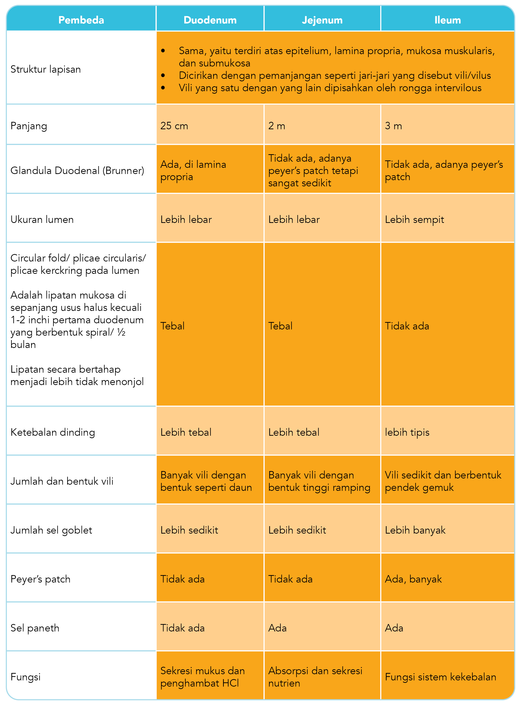 Histologi Sistem Digestivus