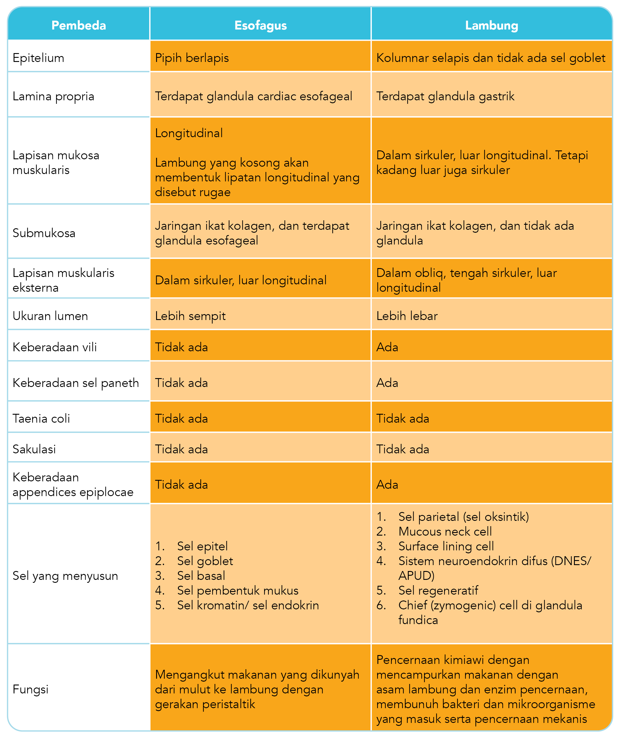 Histologi Sistem Digestivus