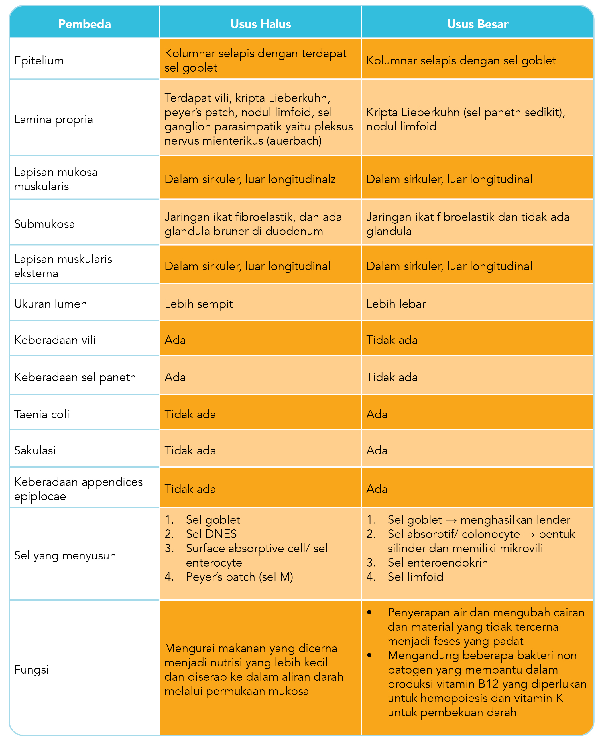 Histologi Sistem Digestivus