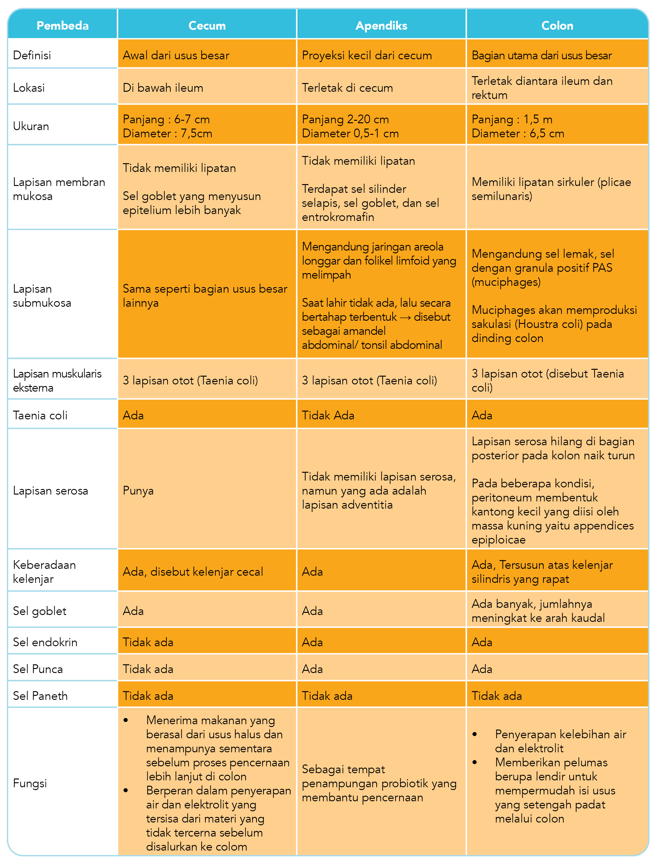 Histologi Sistem Digestivus