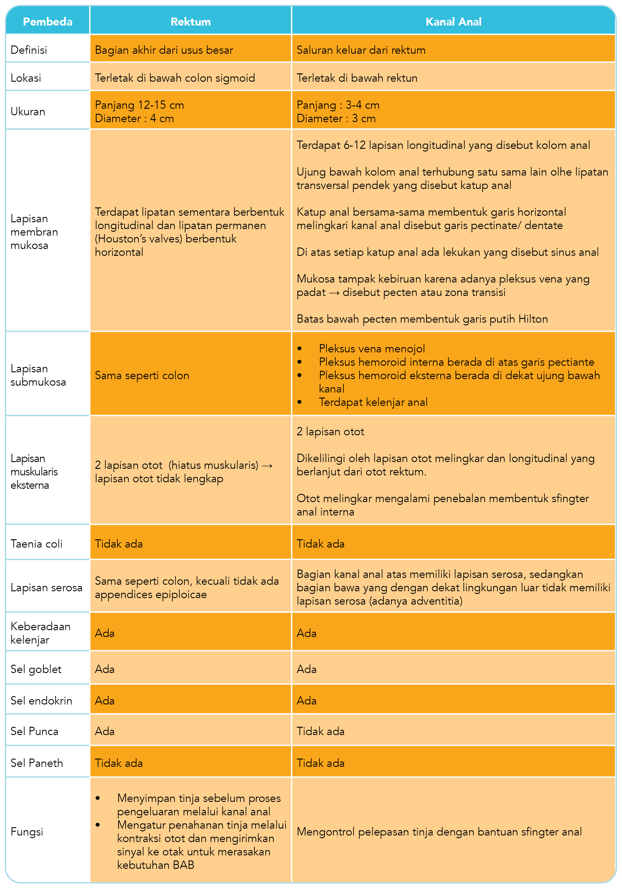 Histologi Sistem Digestivus