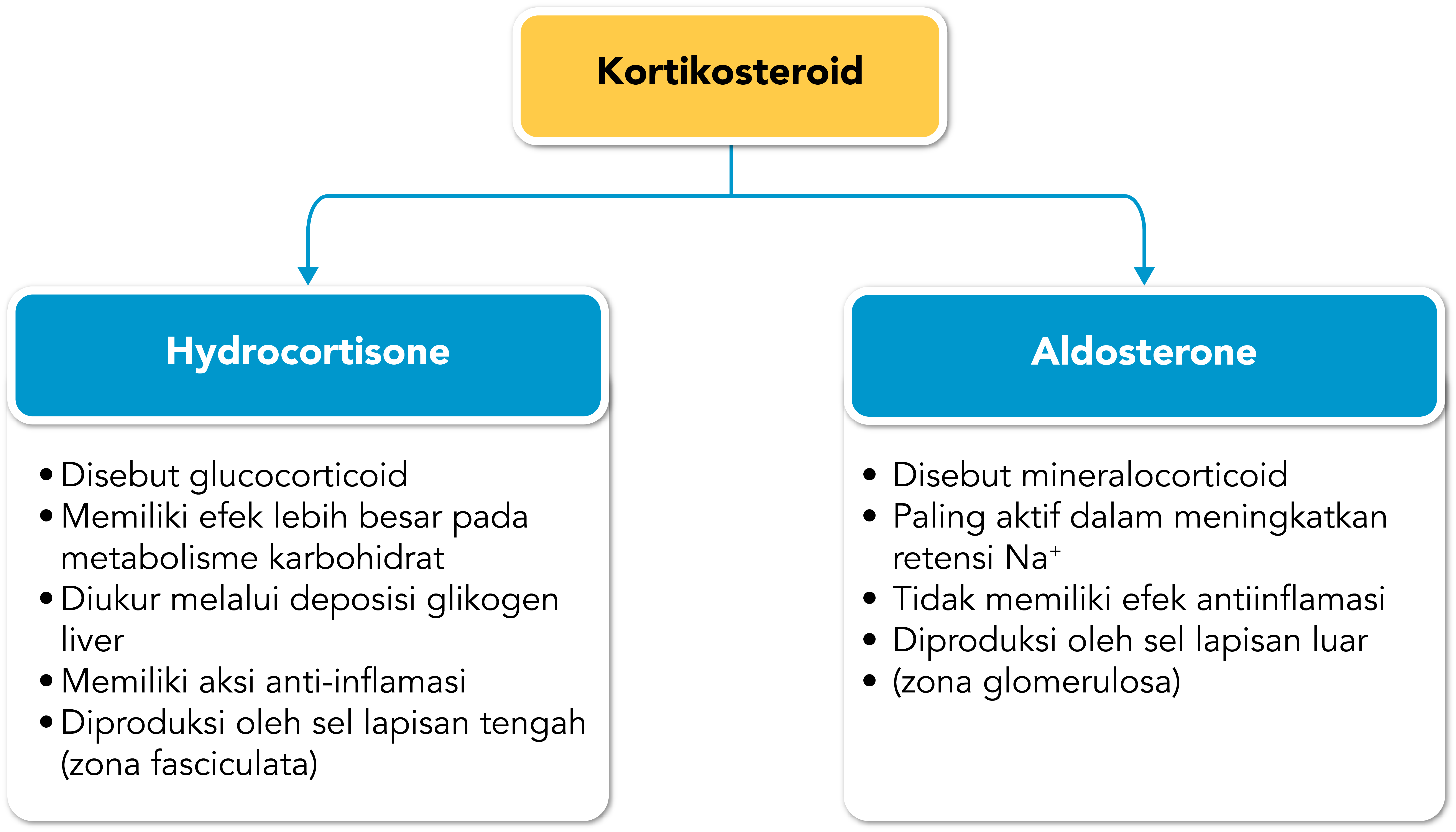 NSAID & Kortikosteroid