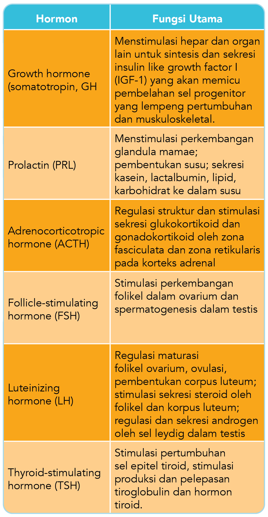 Histologi sistem glandula endocrina