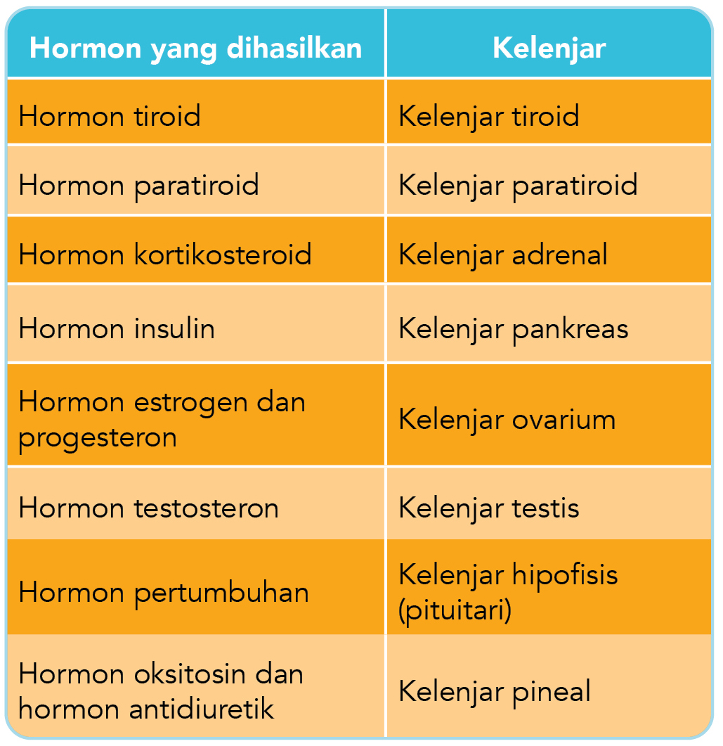 Histologi sistem glandula endocrina