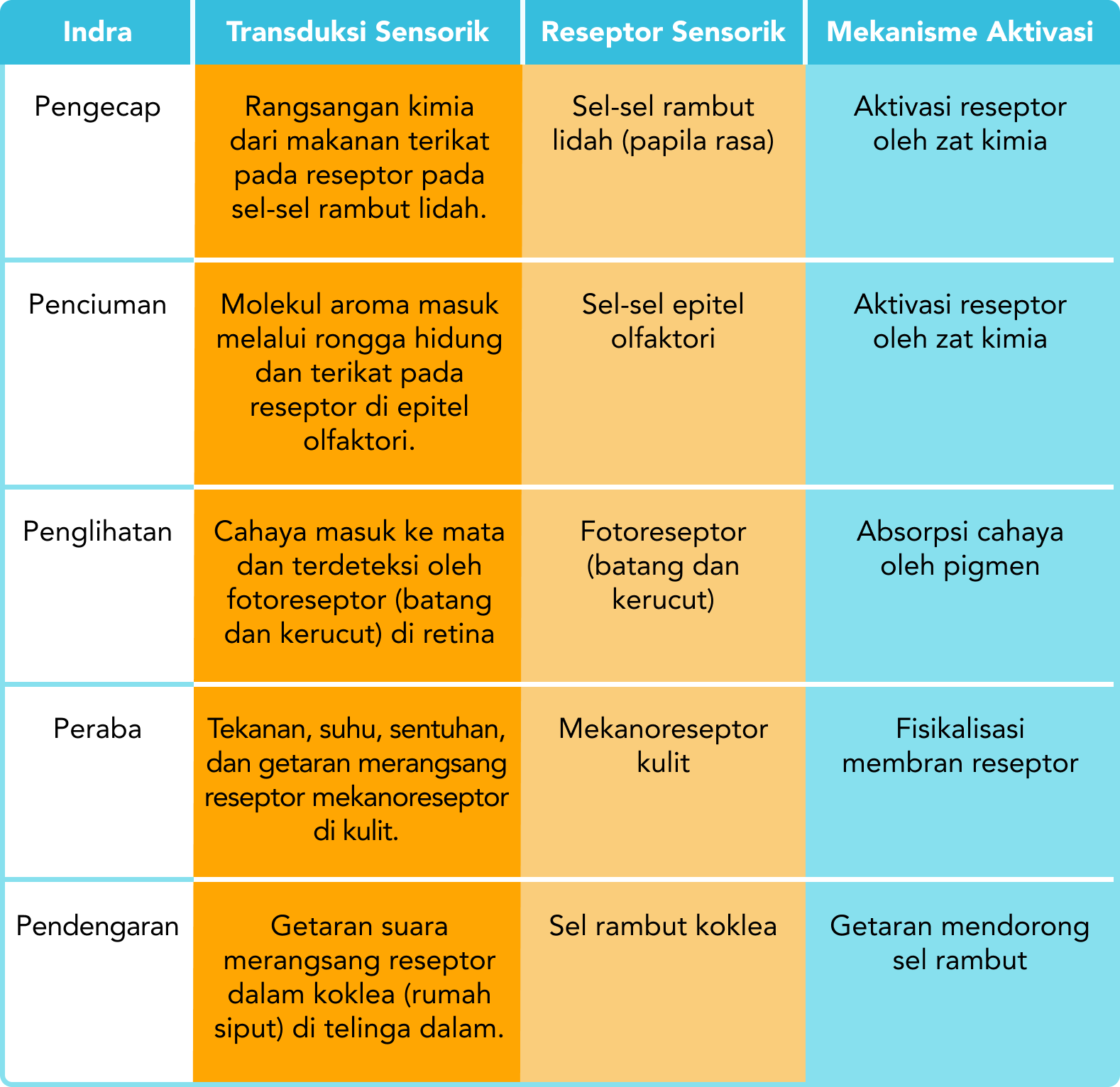 Pengaturan Sistem Sensorik / Indera