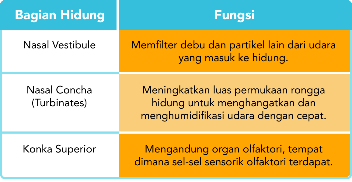 Pengaturan Sistem Sensorik / Indera