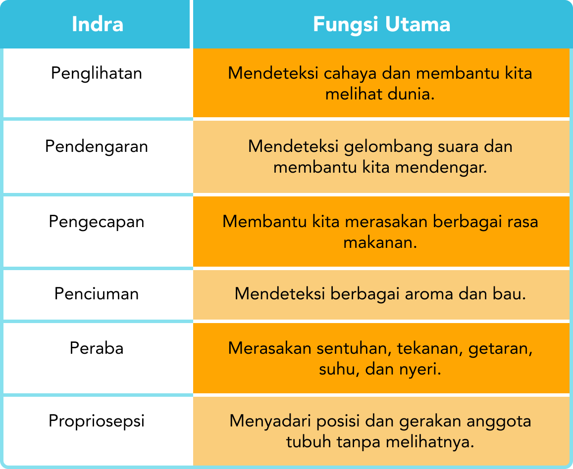 Pengaturan Sistem Sensorik / Indera