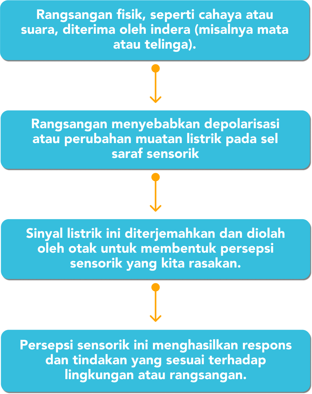 Pengaturan Sistem Sensorik / Indera