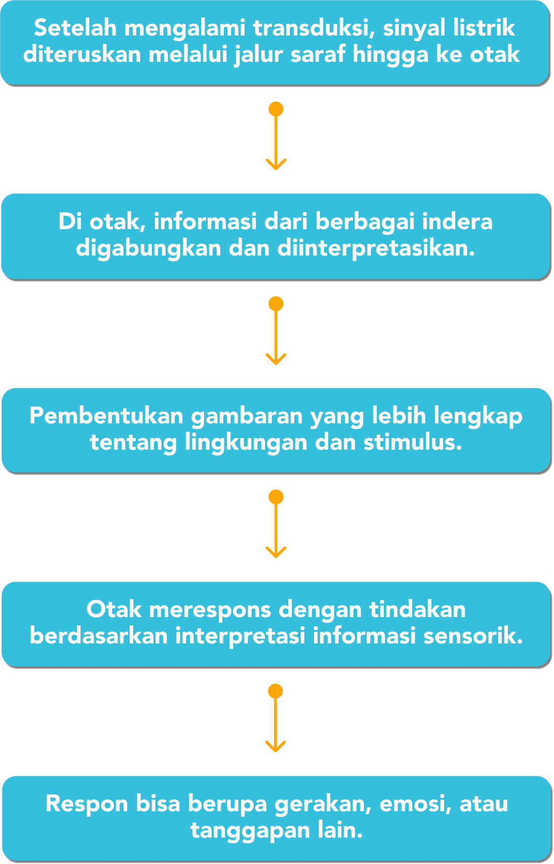 Pengaturan Sistem Sensorik / Indera