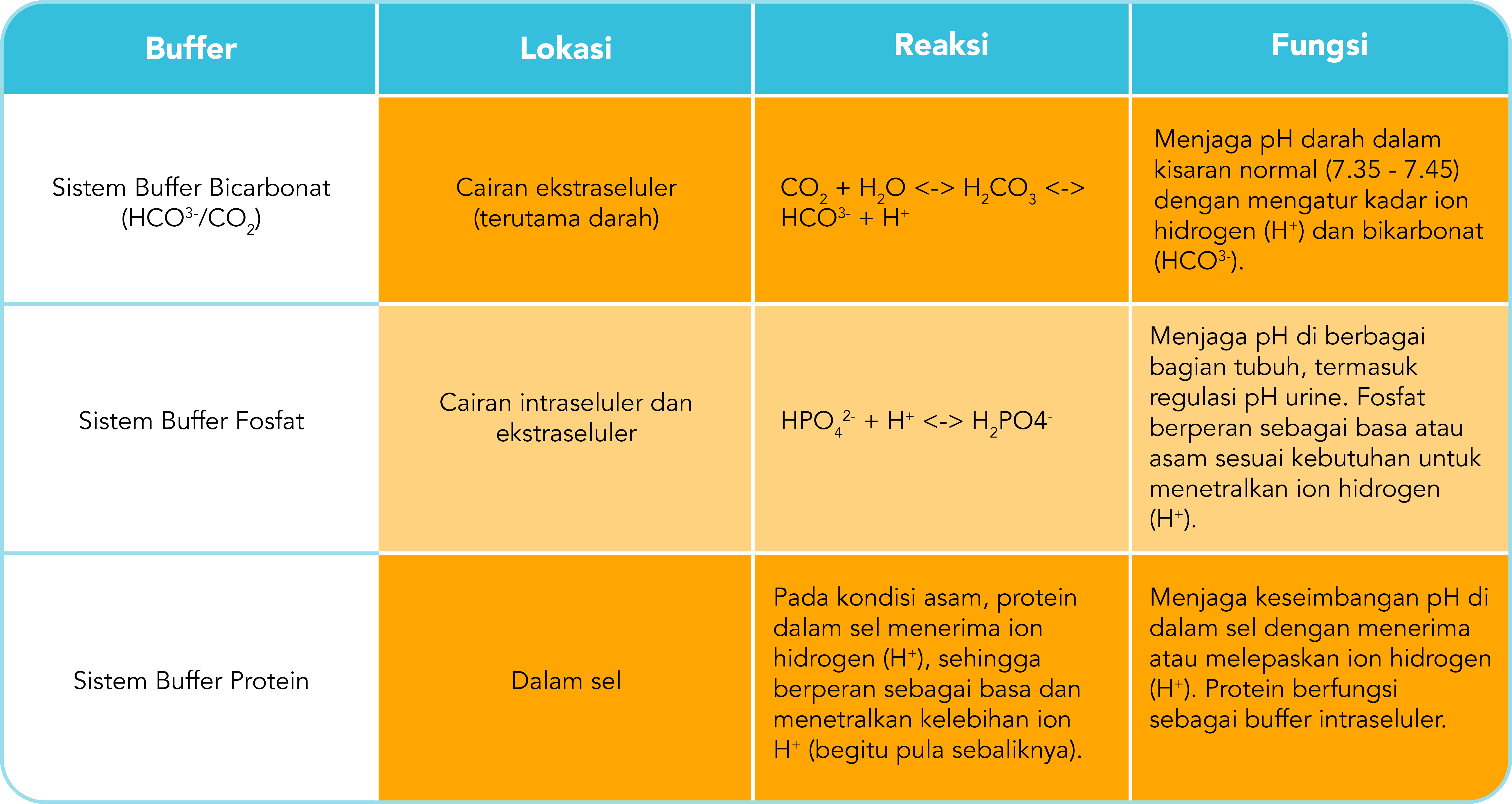 Keseimbangan Asam Basa