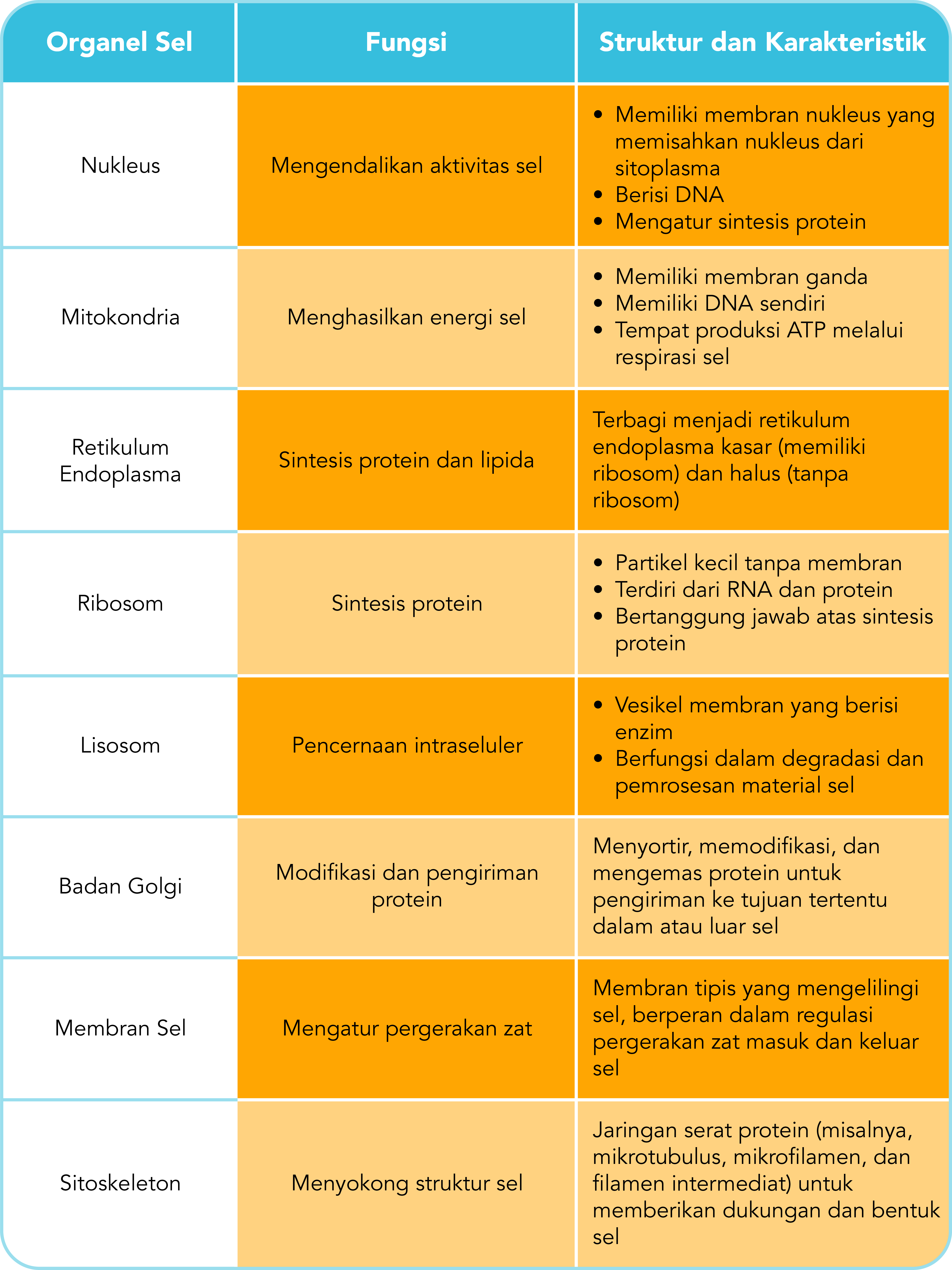 Organisasi Tubuh Manusia