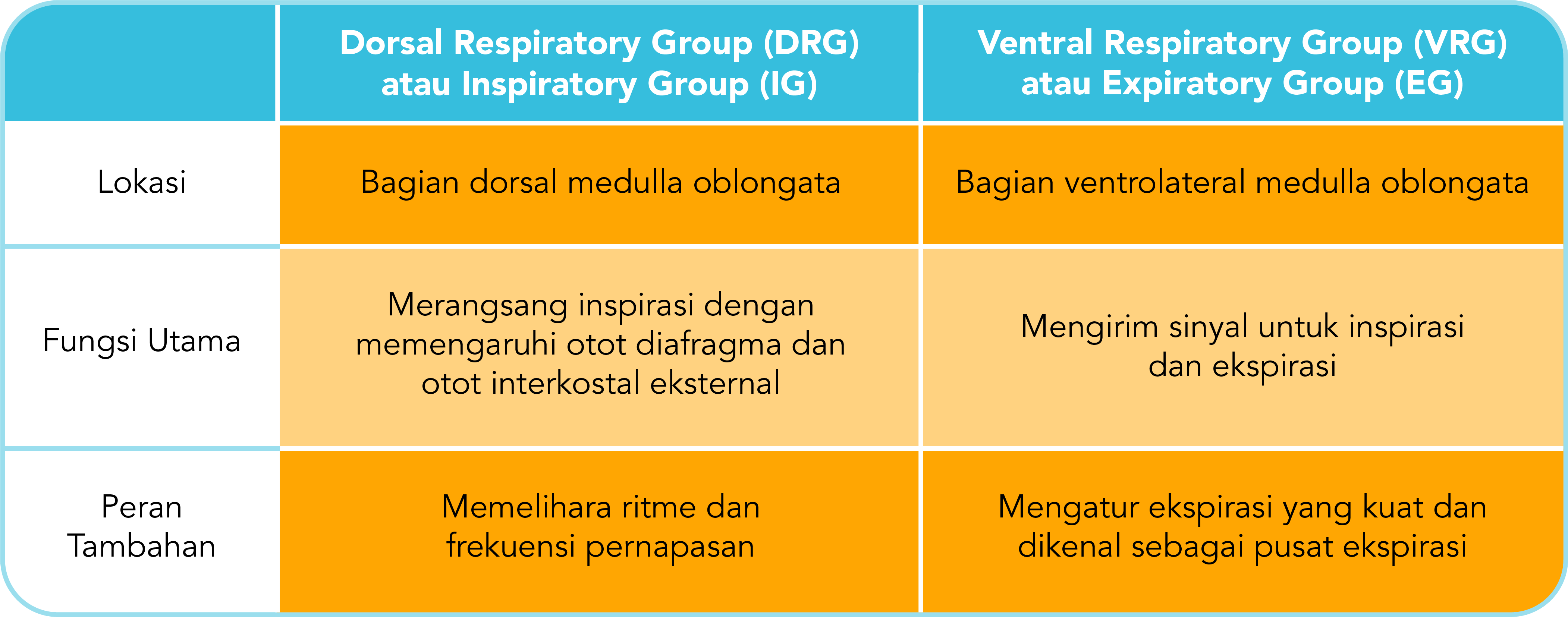 Pengaturan Konsentrasi Oksigen dan Karbondioksida