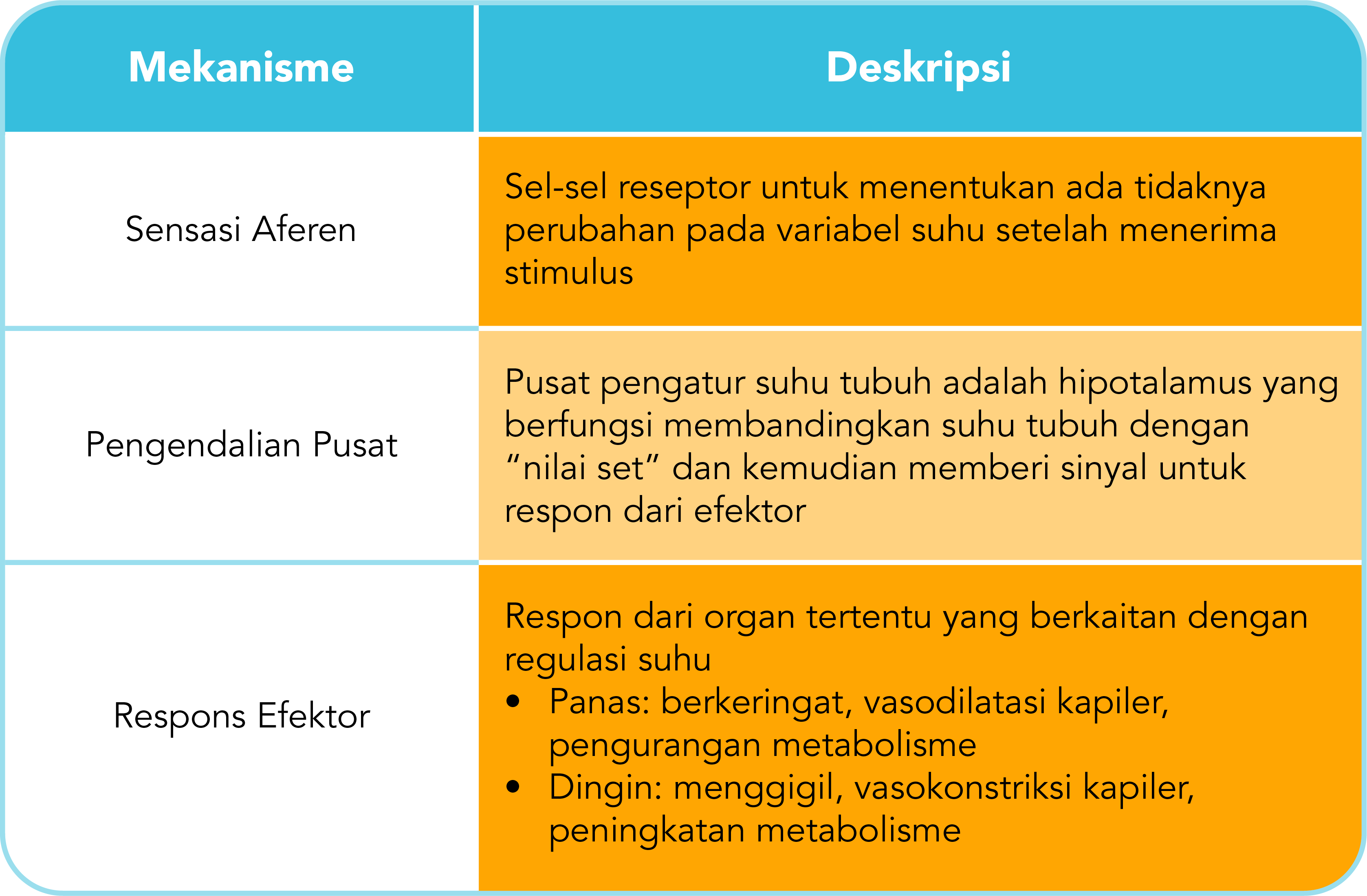 Pengaturan Suhu Tubuh