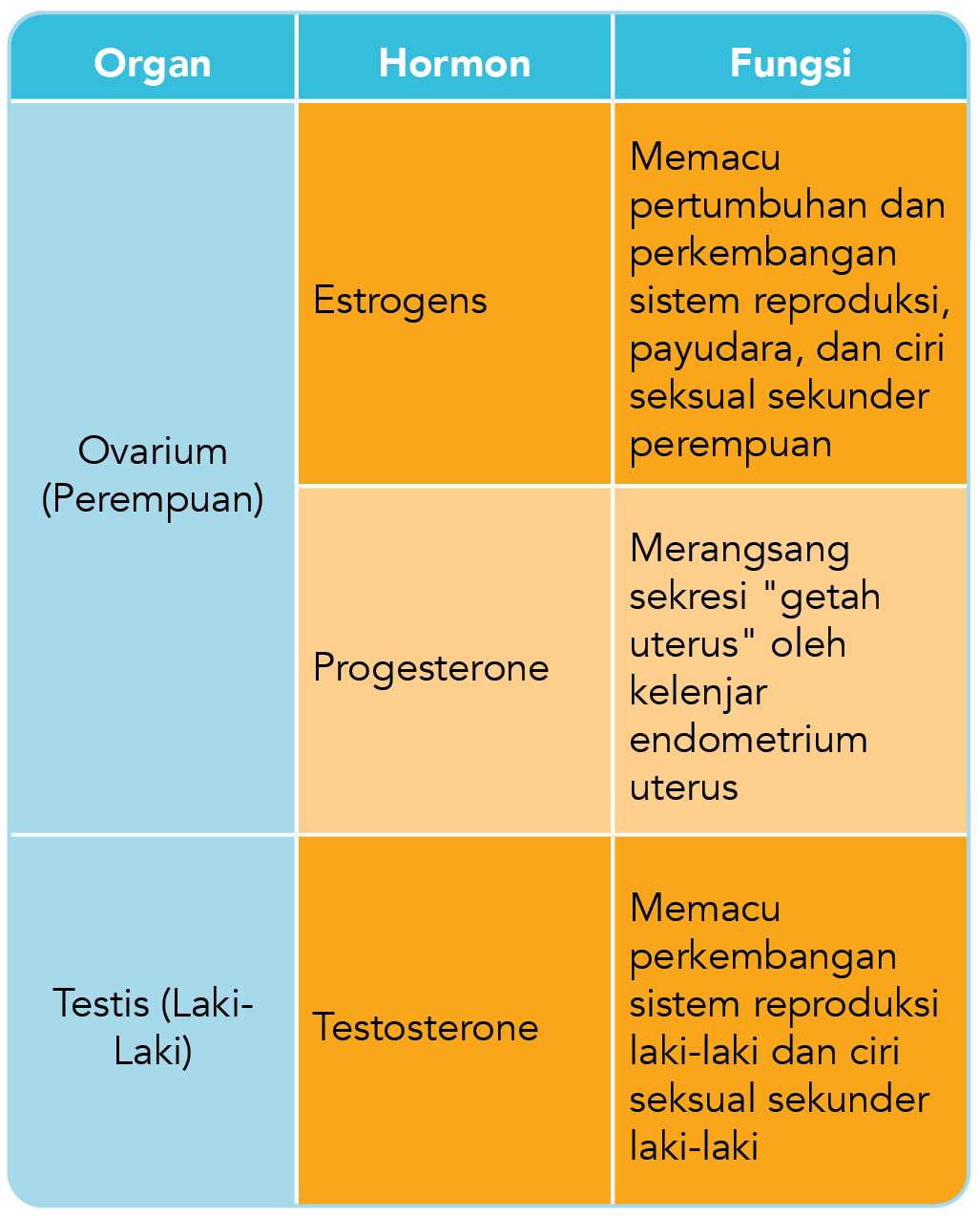 Fisiologi sistem glandula endocrina