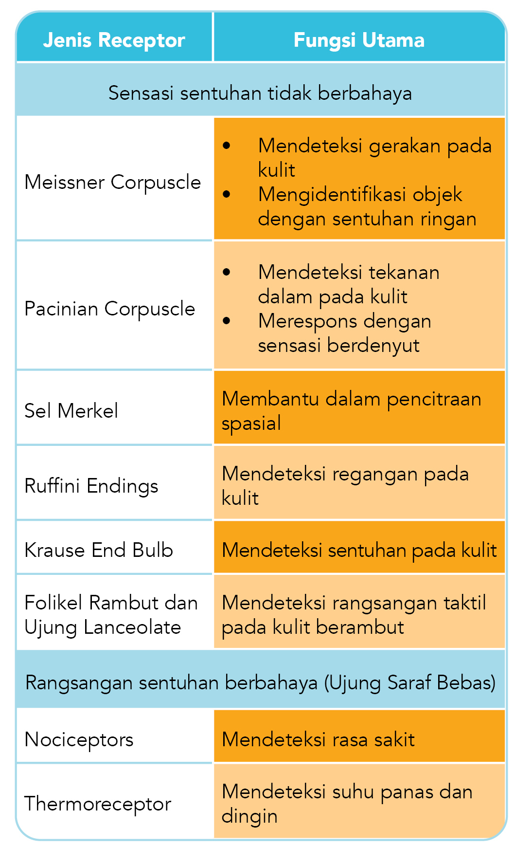 Fisiologi Sistem Integumentum
