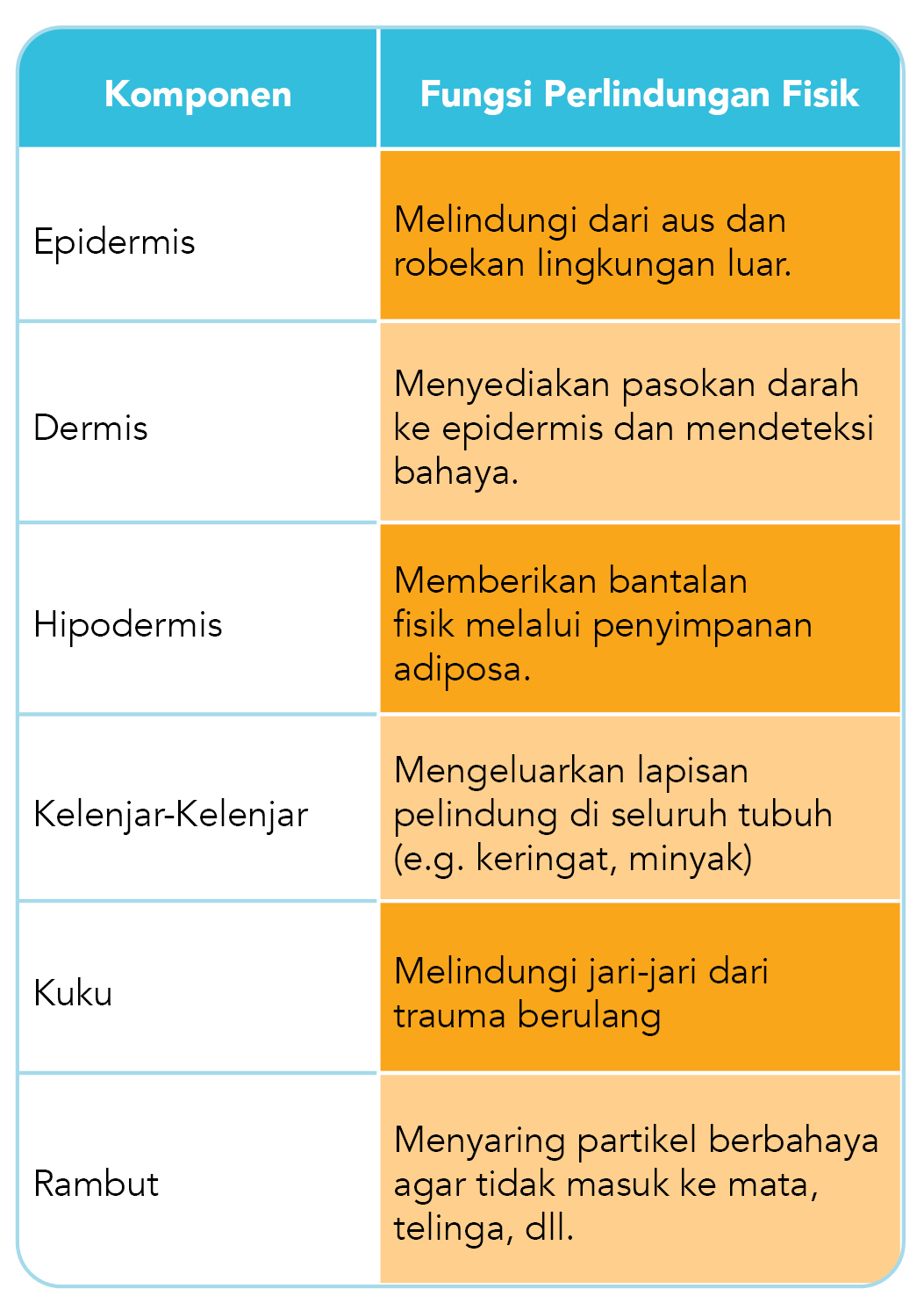 Fisiologi Sistem Integumentum