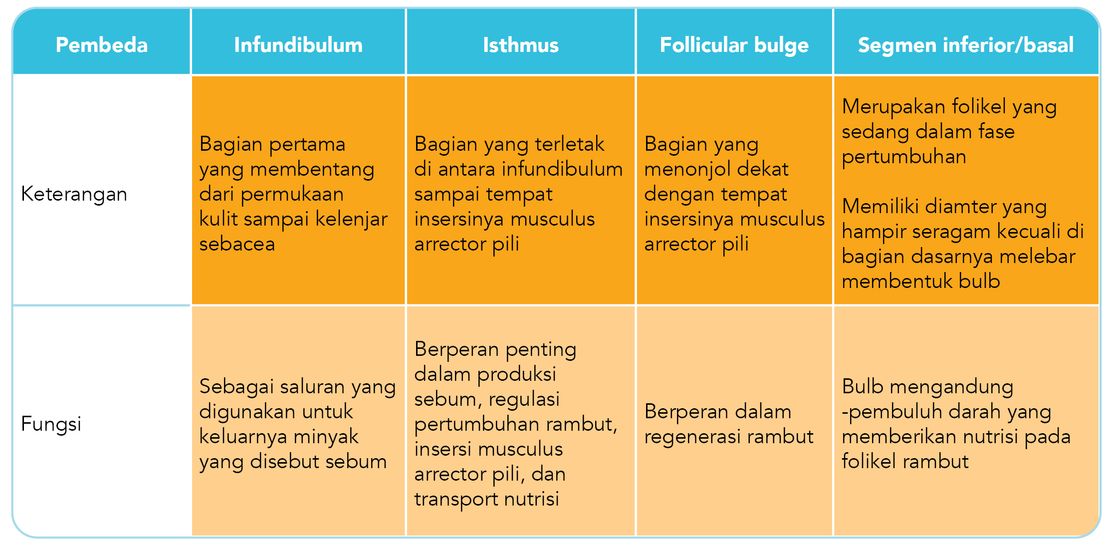 Histologi Sistem Integumentum