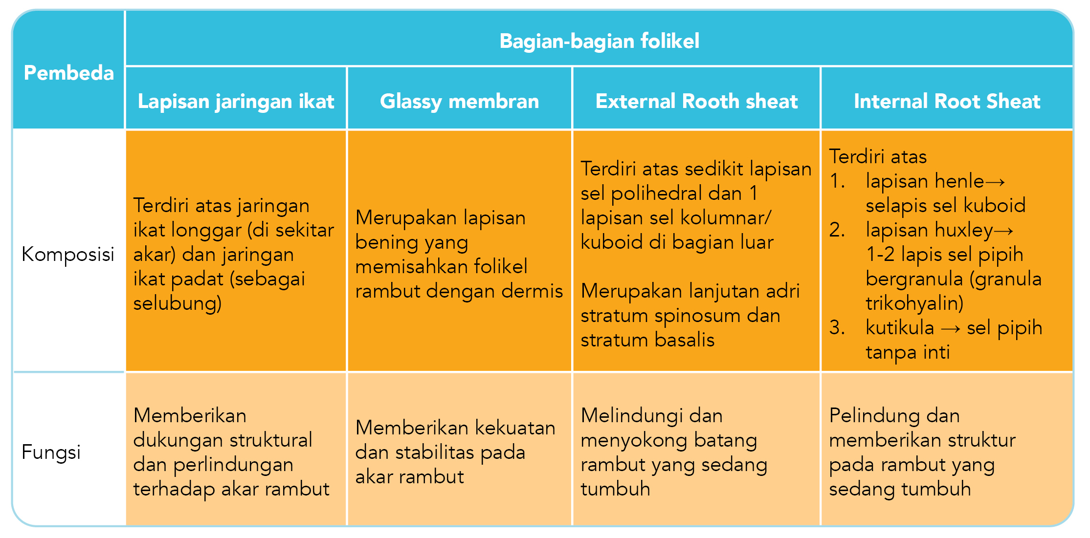 Histologi Sistem Integumentum