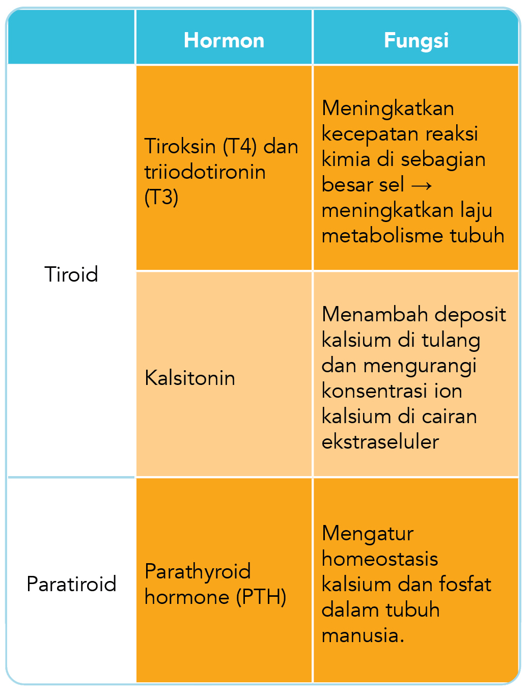 Fisiologi sistem glandula endocrina