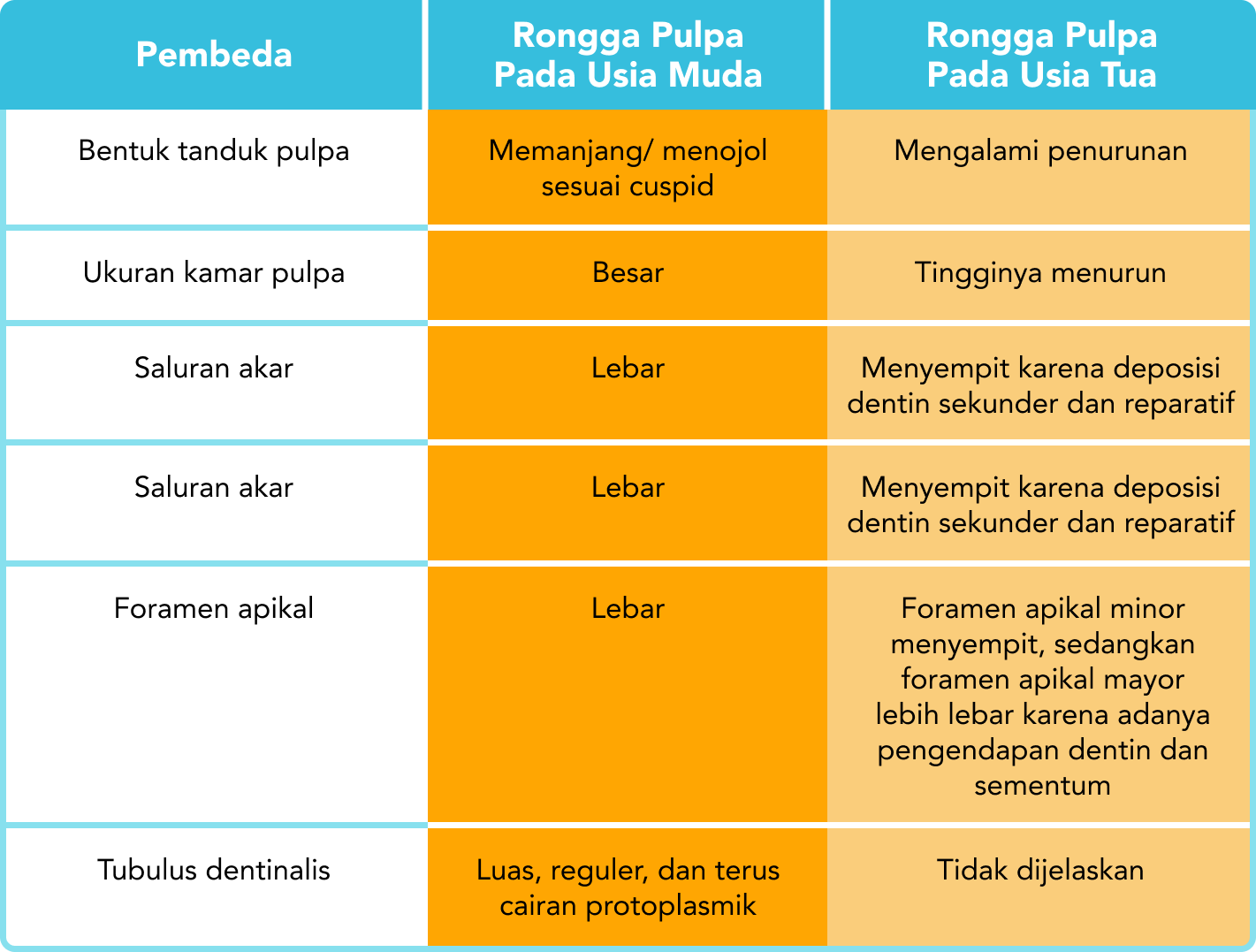 Relevansi Klinis dari Anatomi Saluran Akar
