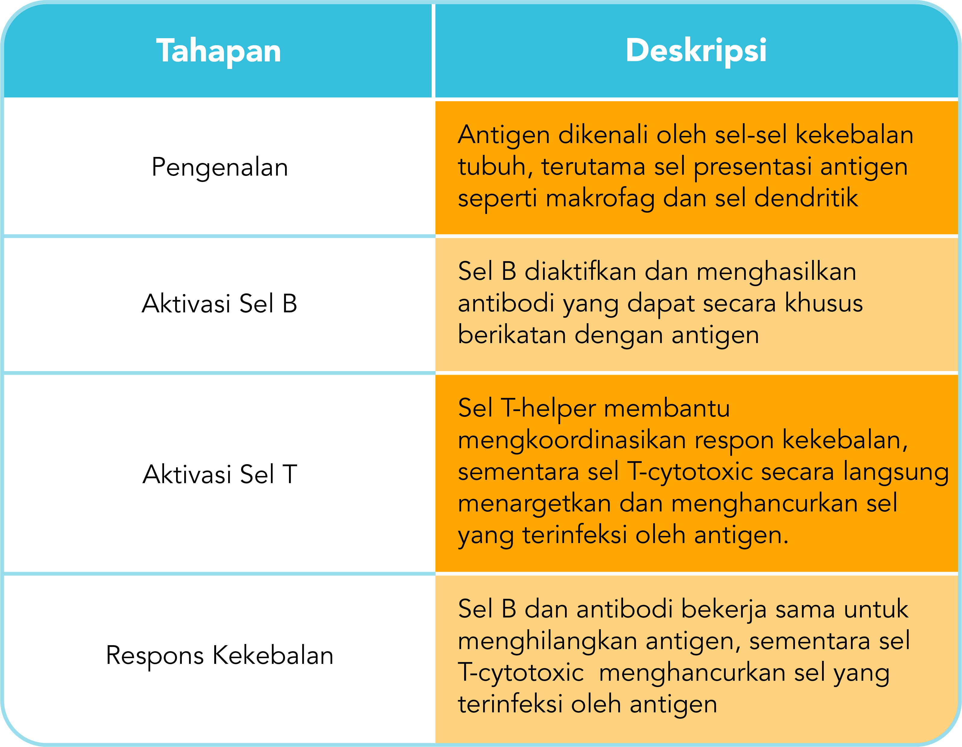 Mikrobiologi konsep imunologi, perkembangan sistem imun, sistem Imun ...