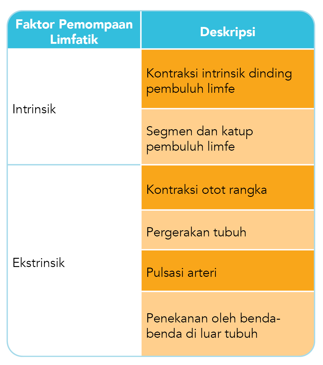 Fisiologi Sistem Limfatik