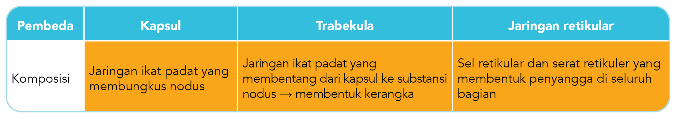 Histologi Sistem Limfatik