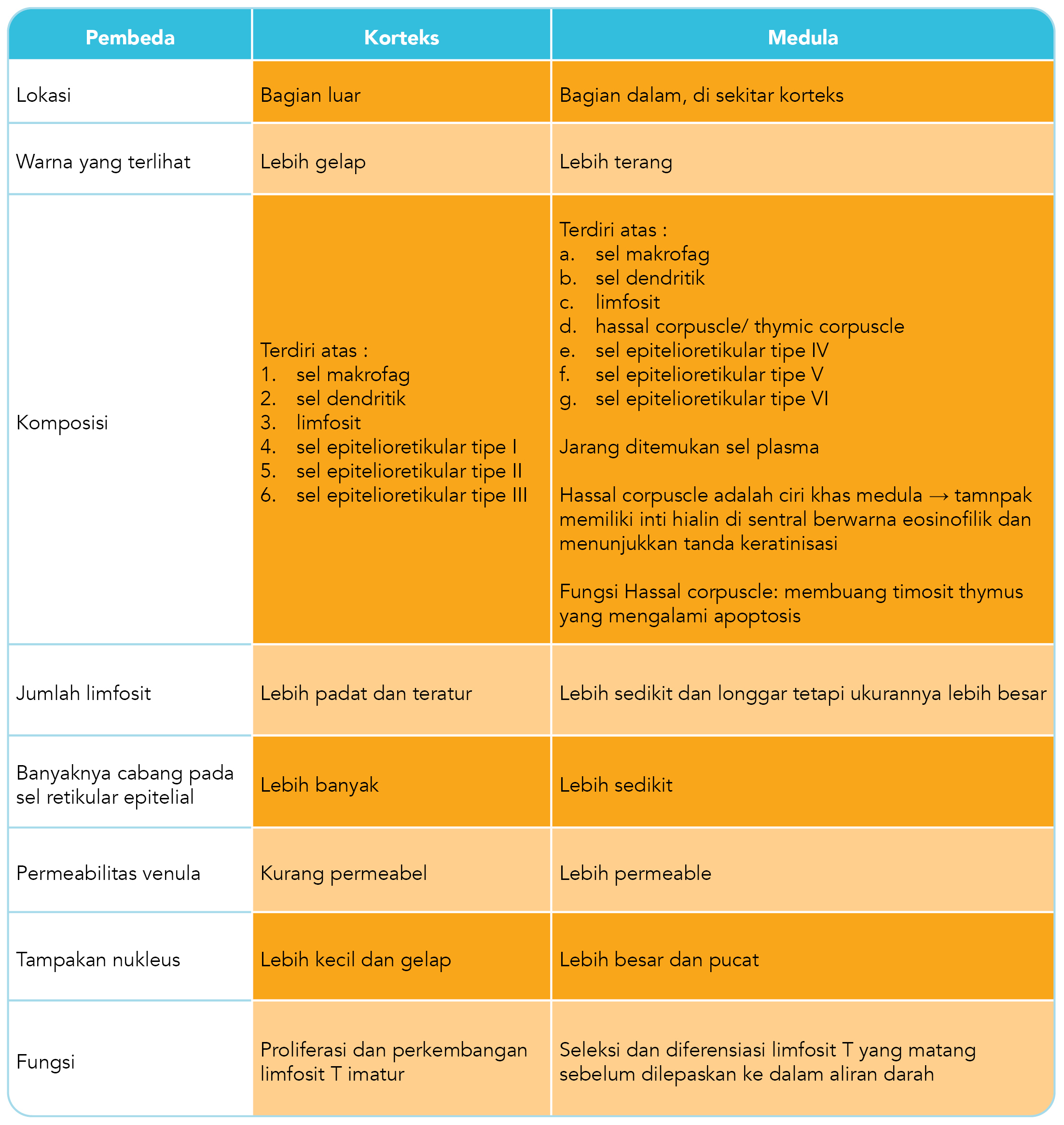 Histologi Sistem Limfatik