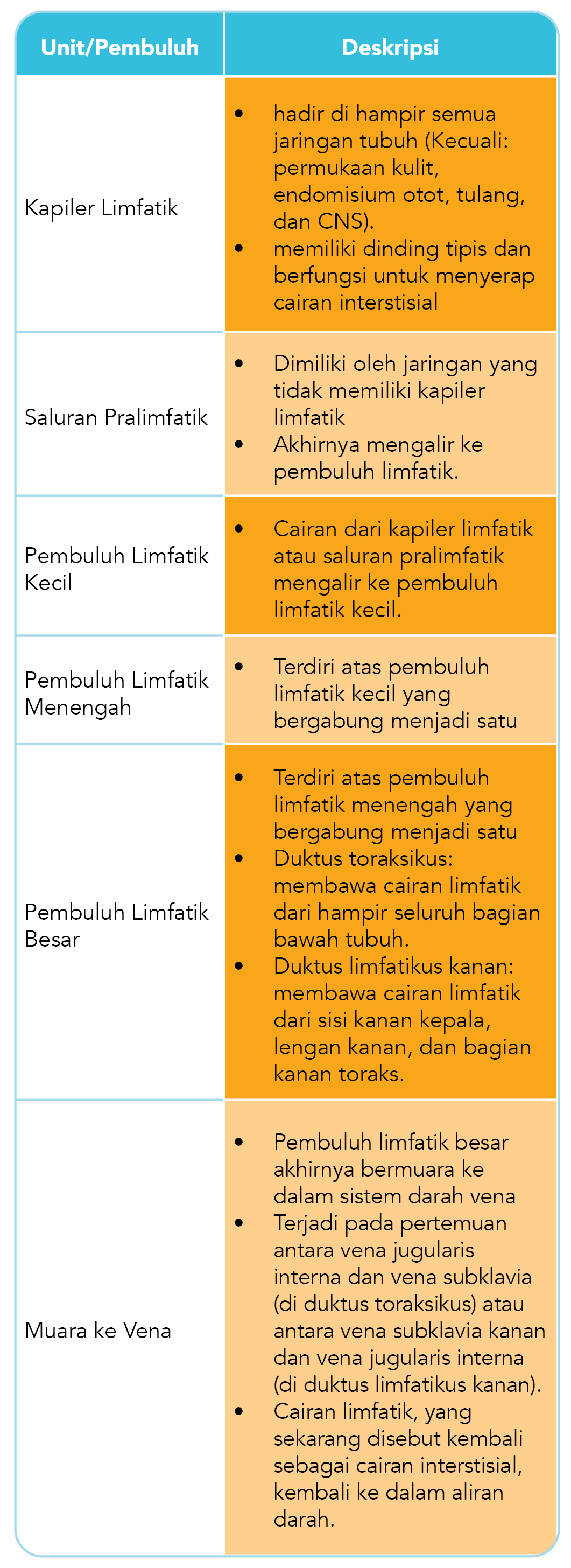 Fisiologi Sistem Limfatik