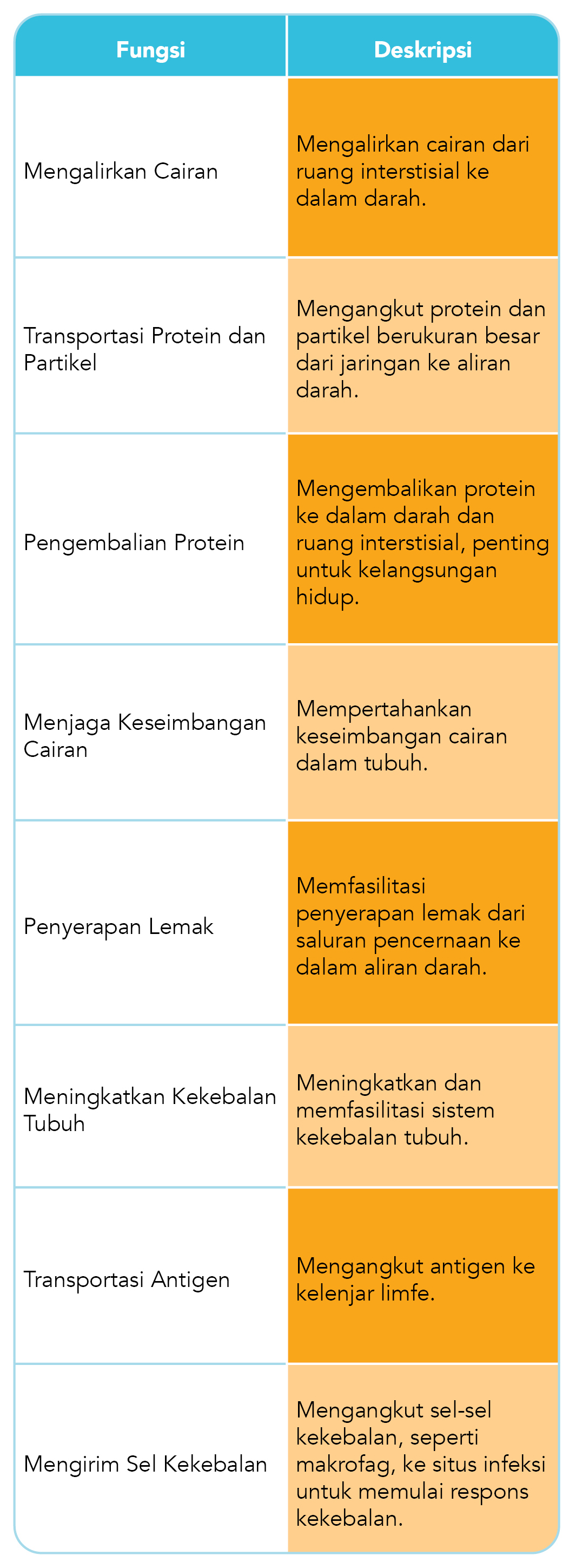 Fisiologi Sistem Limfatik