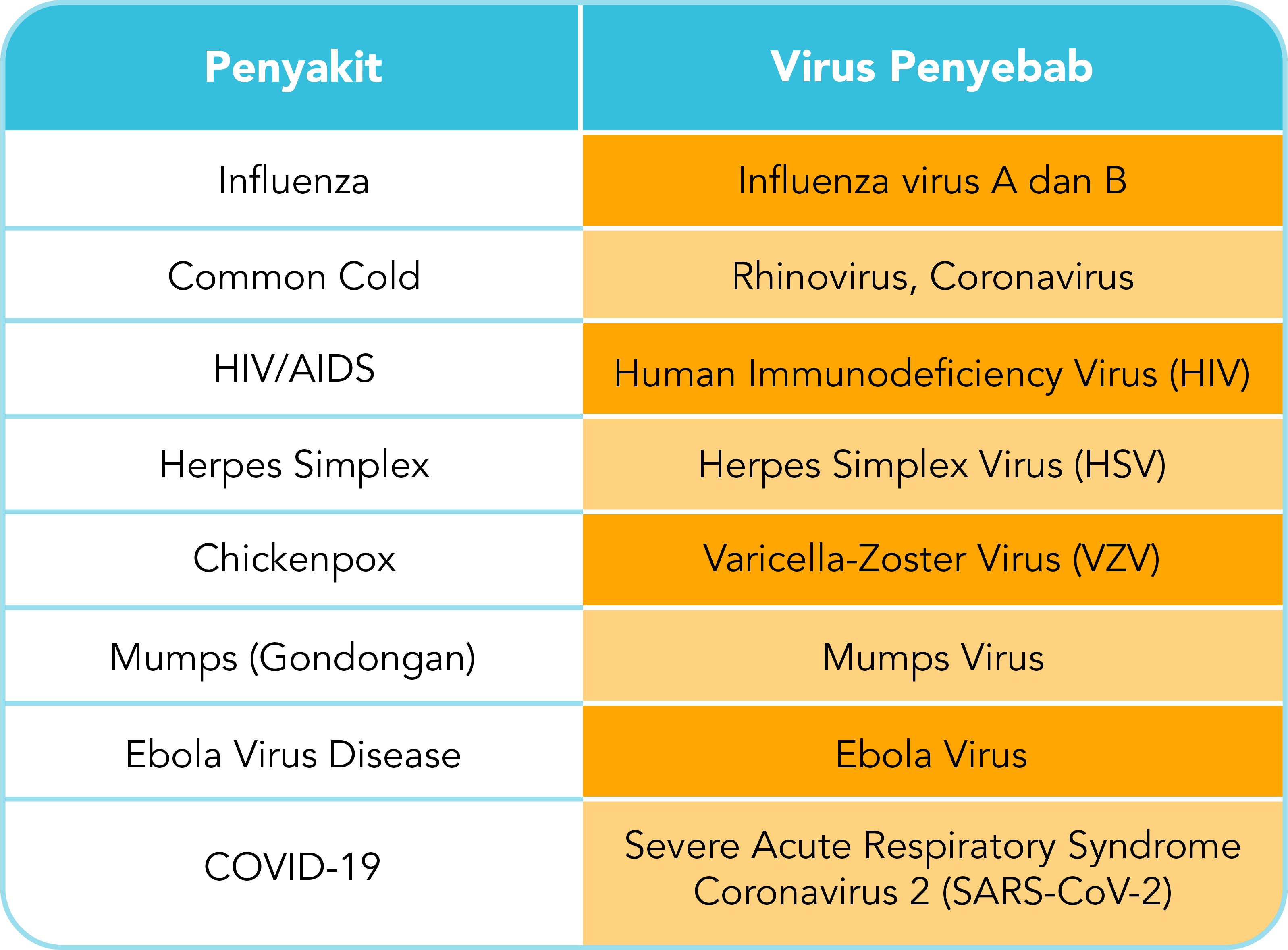 Infeksi Virus