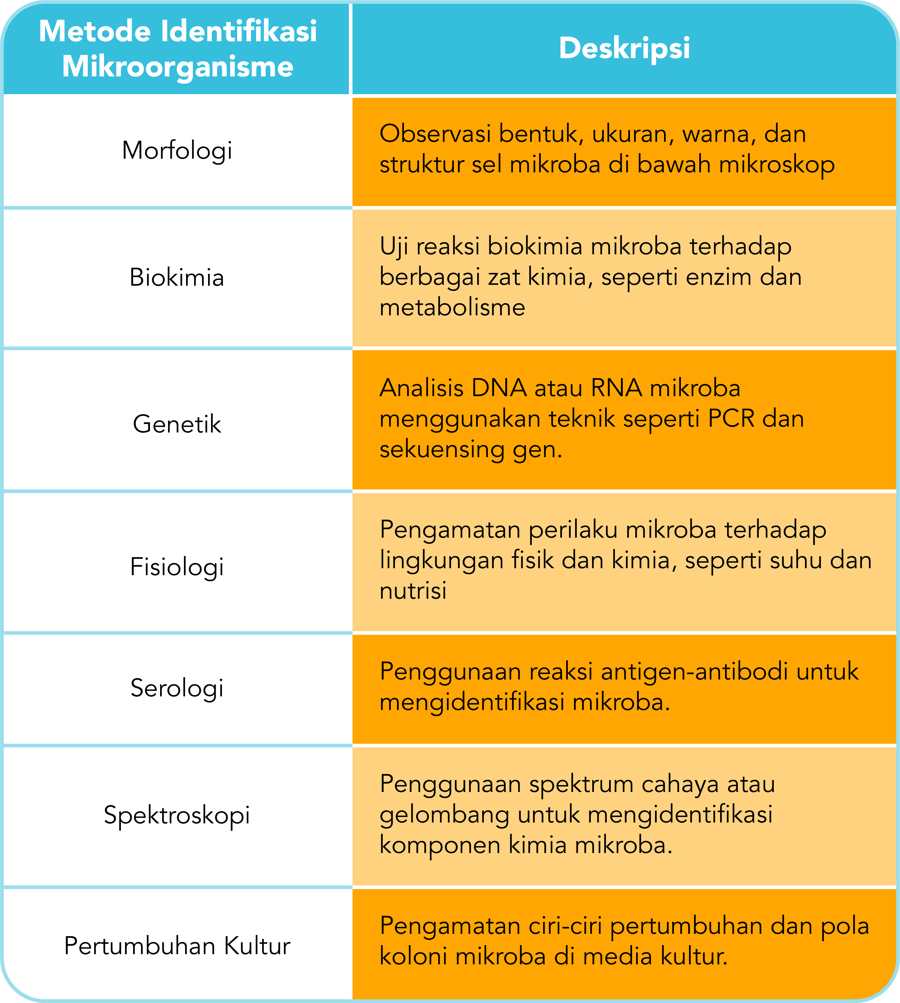 Teknik Isolasi dan Identifikasi